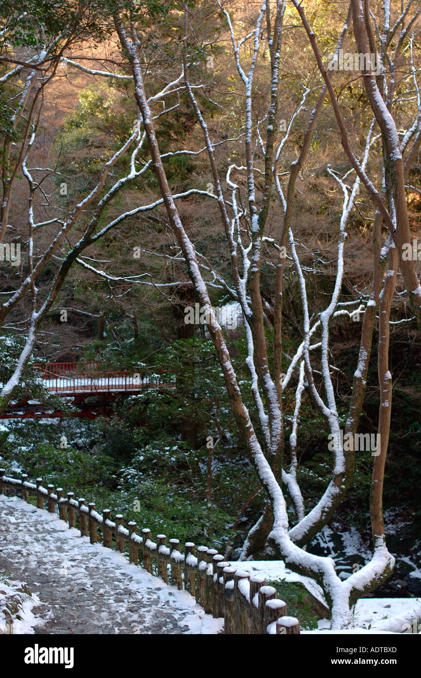 A snowy scene in Minoh Park Osaka Japan Stock Photo - Alamy