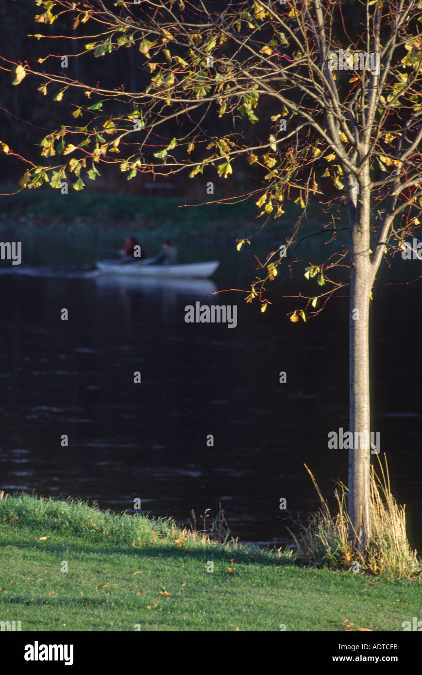 Salmon fishing on the Tweed Kelso Scotland Junction Pool Stock Photo ...