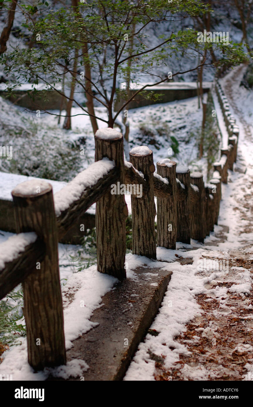 Winter in minoh park osaka hi-res stock photography and images - Alamy