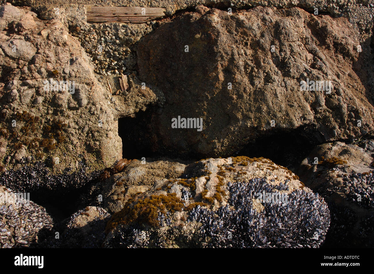 Old Stone Breakwall Stock Photo - Alamy