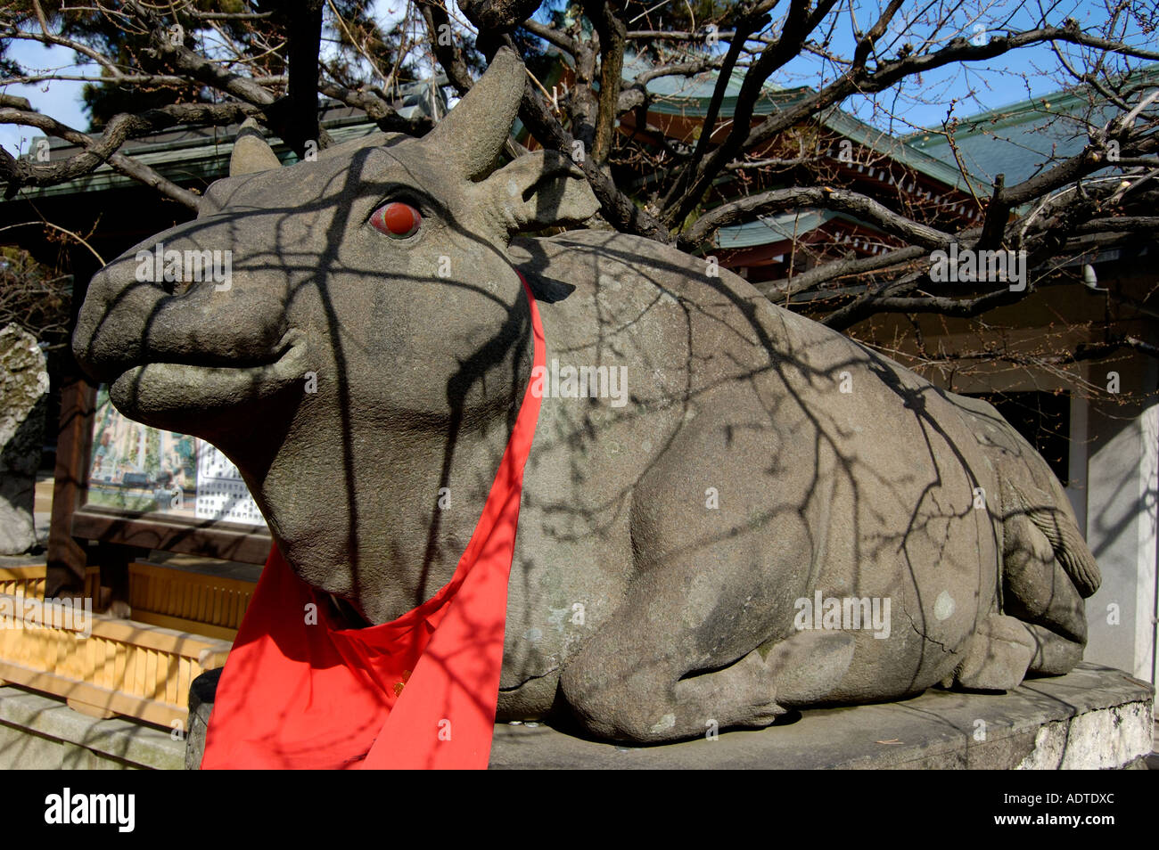 Japan cow sacred hi-res stock photography and images - Alamy