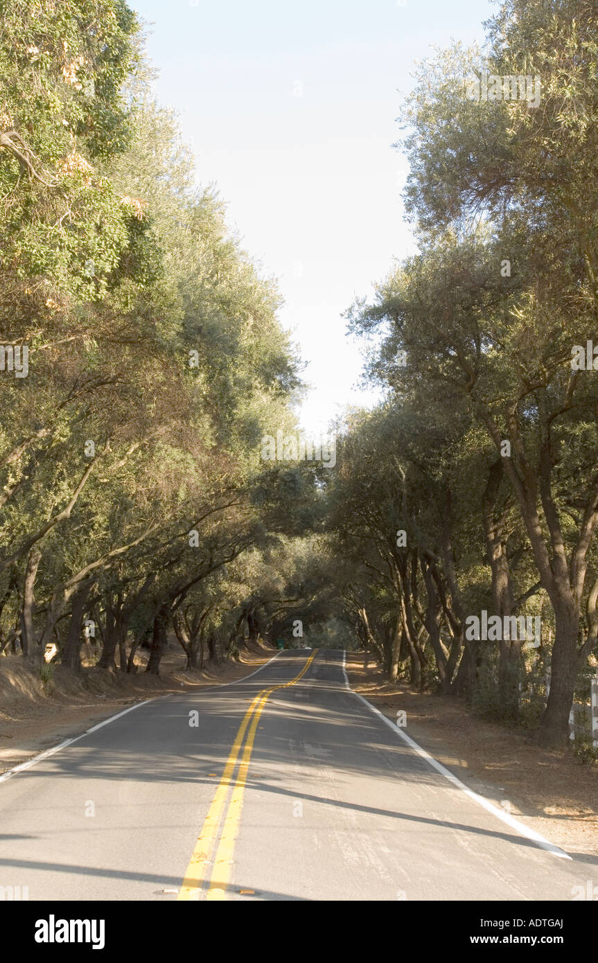 Two Lane Road Stock Photos & Two Lane Road Stock Images - Alamy