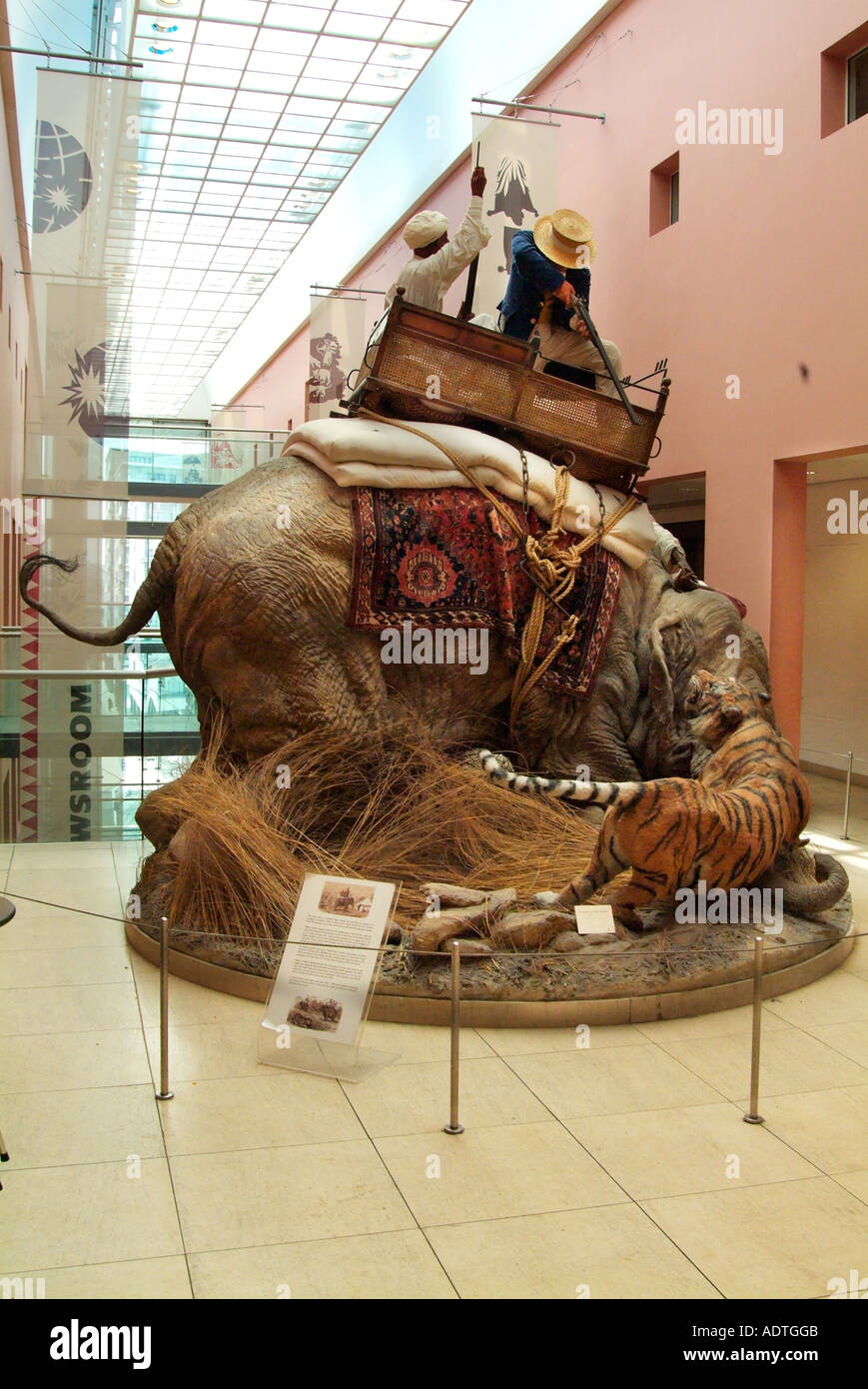 Leeds Royal Armoury India Indian orient oriental elephant raja howdah ...