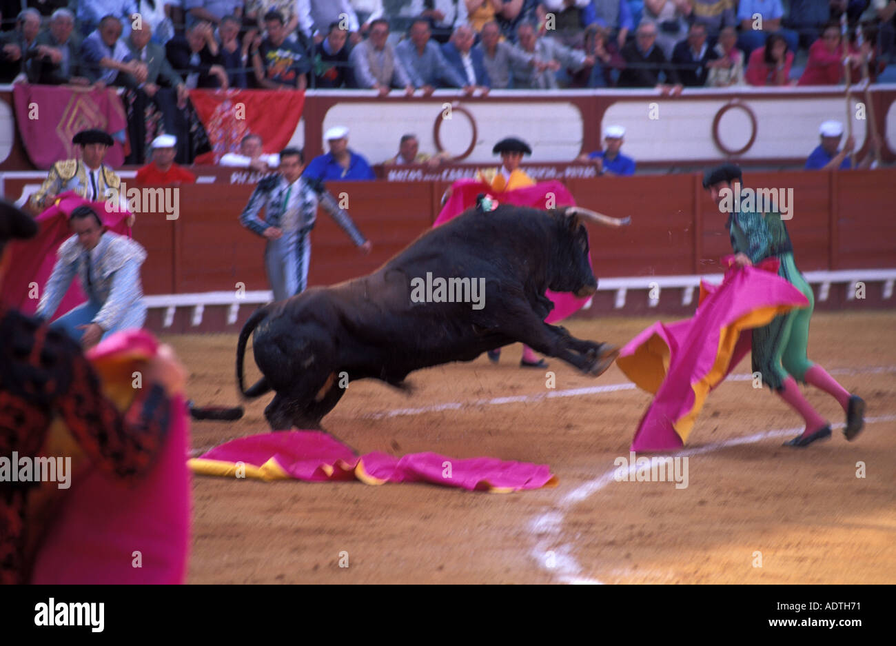 Matador bull charging hi-res stock photography and images - Alamy