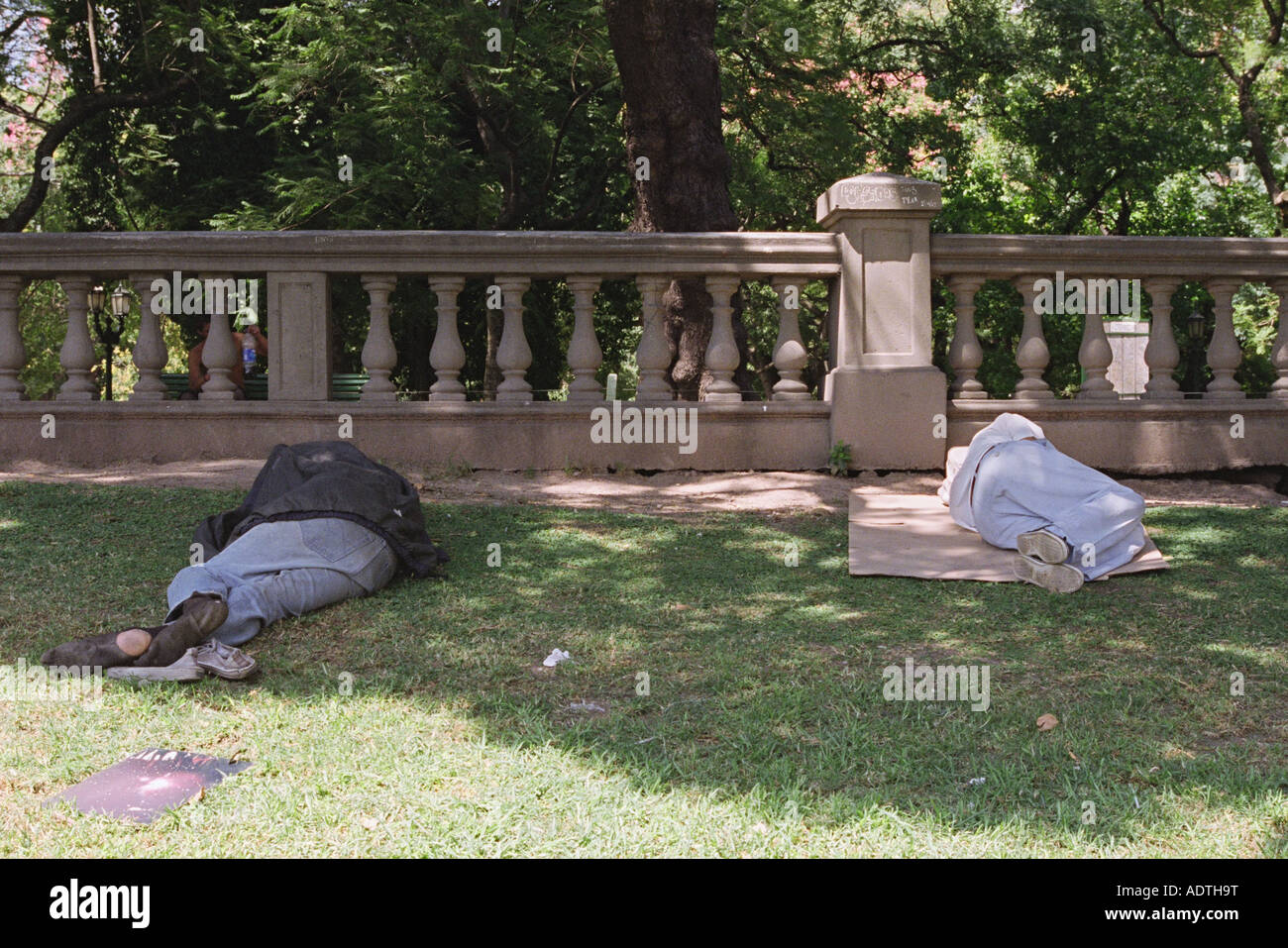 Sleeping in the Park Stock Photo - Alamy