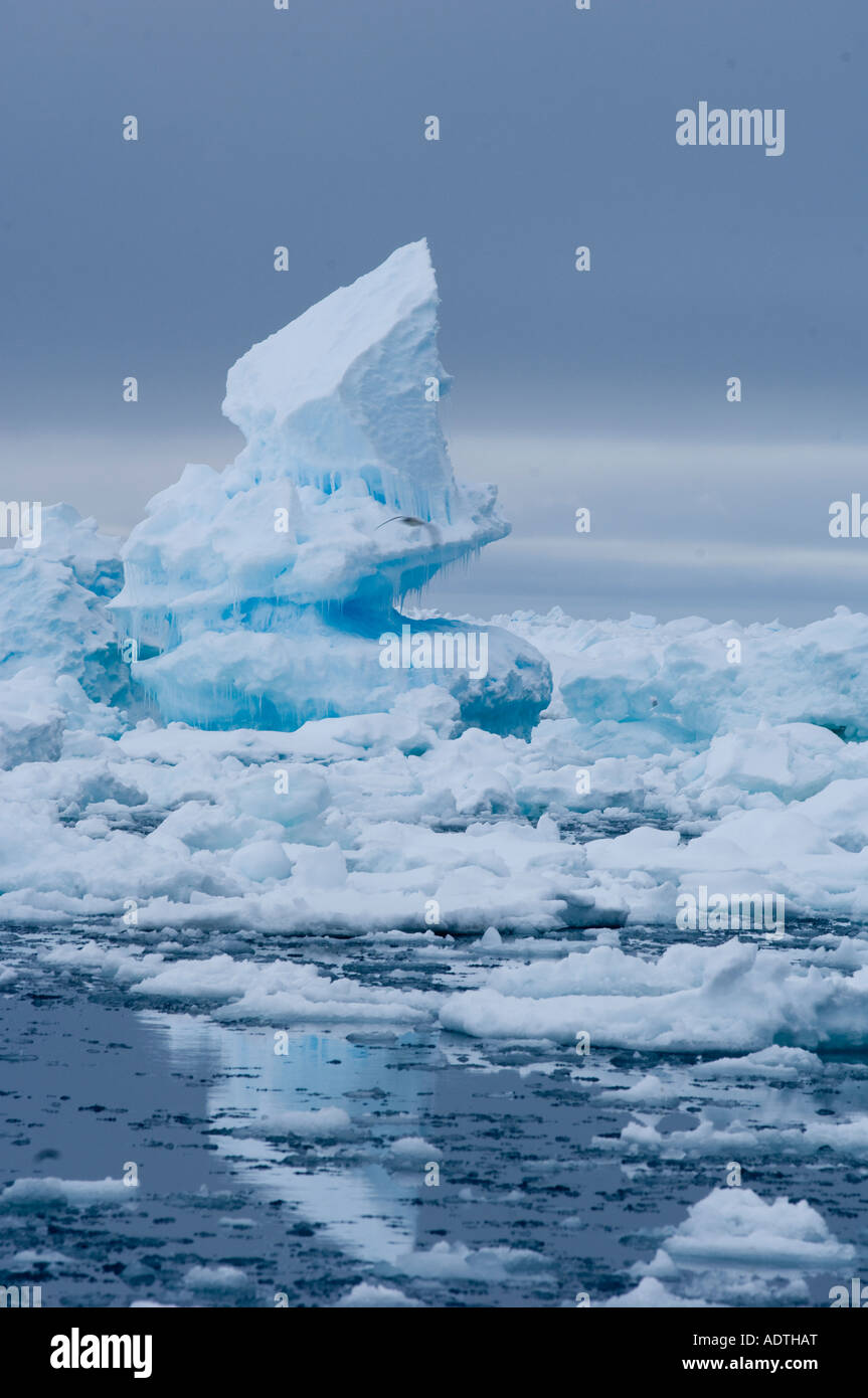Iceberg floating in moving pack ice. Icicles form as the ice melts in ...