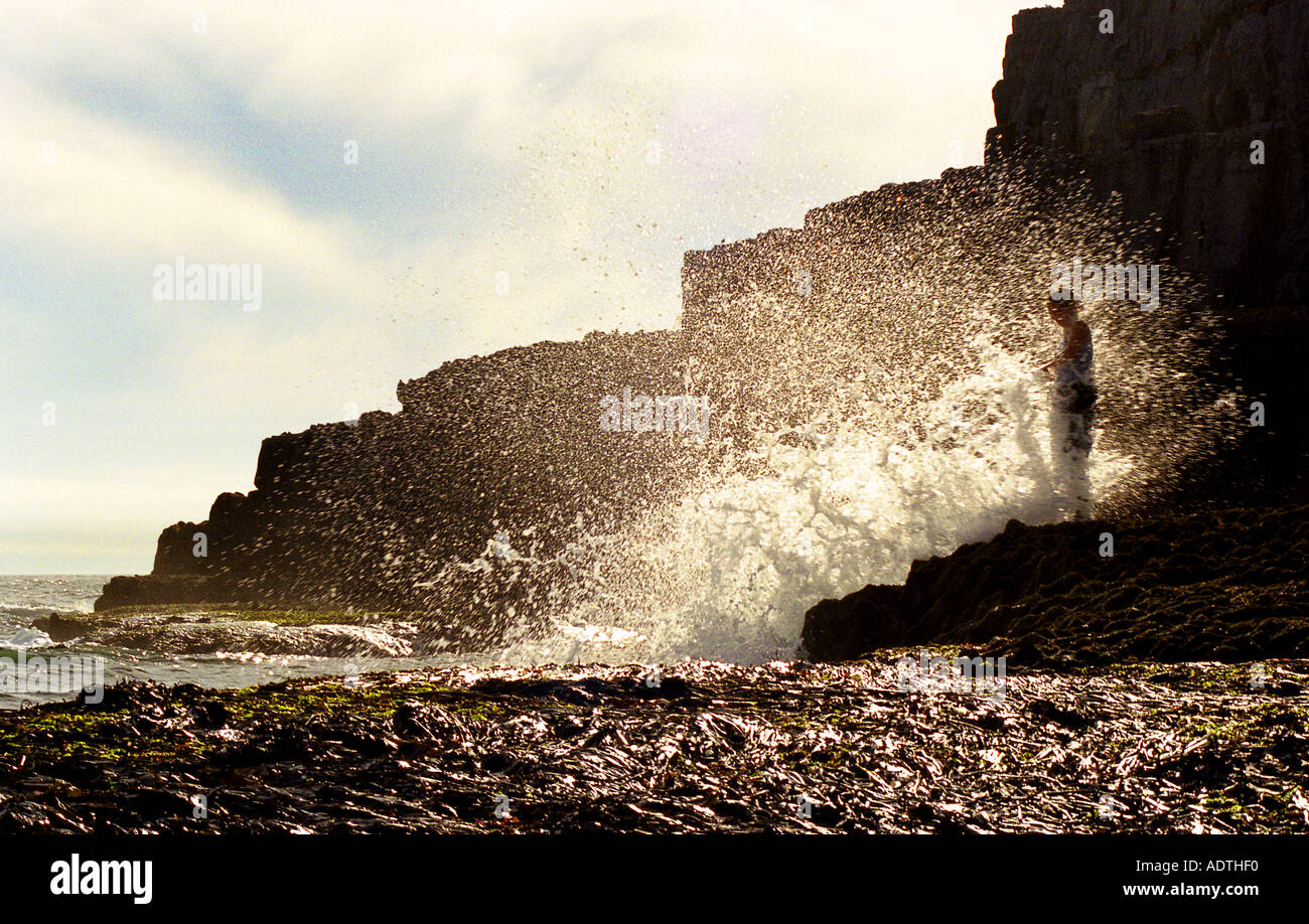 Drowned rat hi-res stock photography and images - Alamy