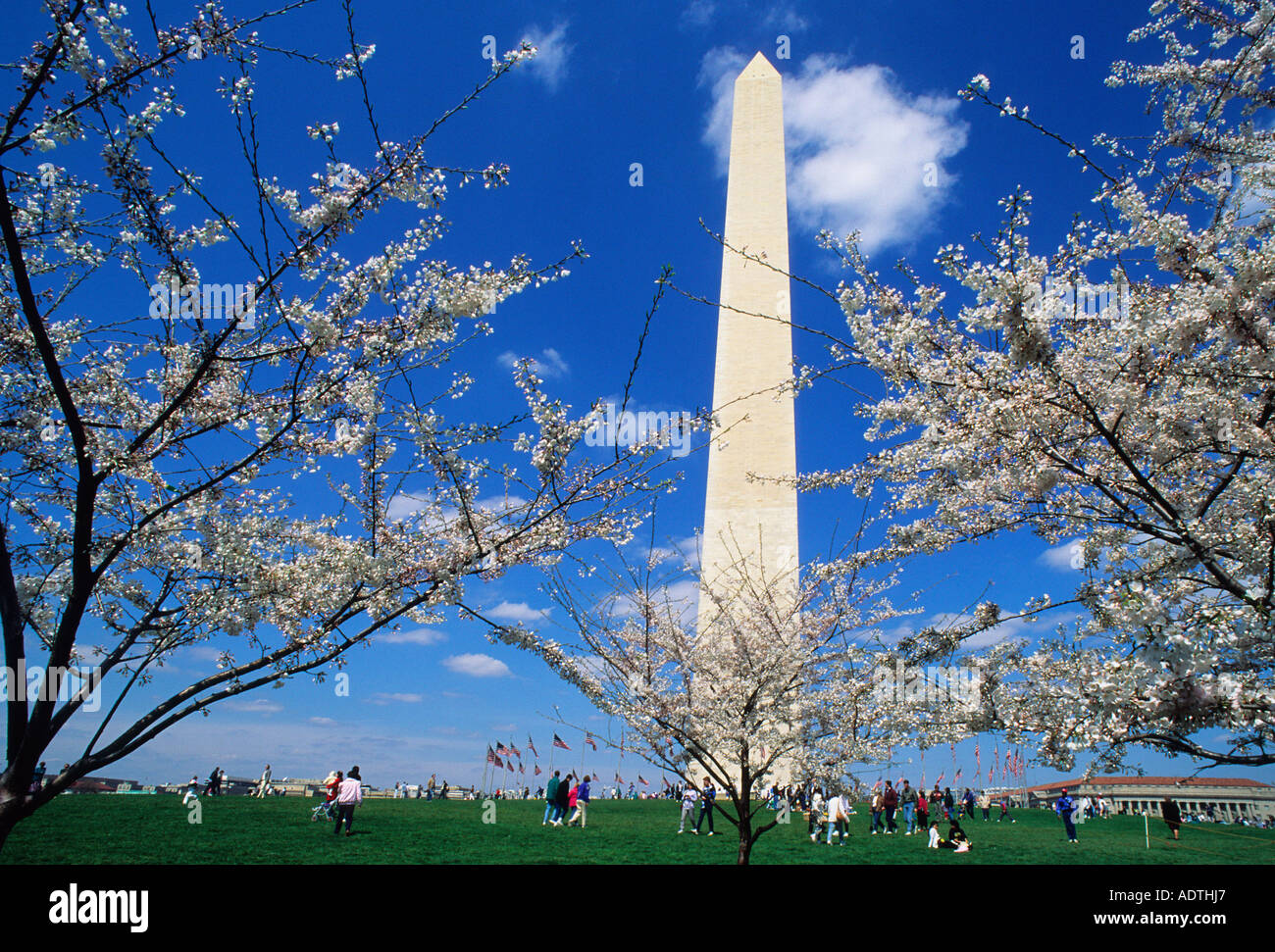 George washington and cherry tree hi-res stock photography and images ...