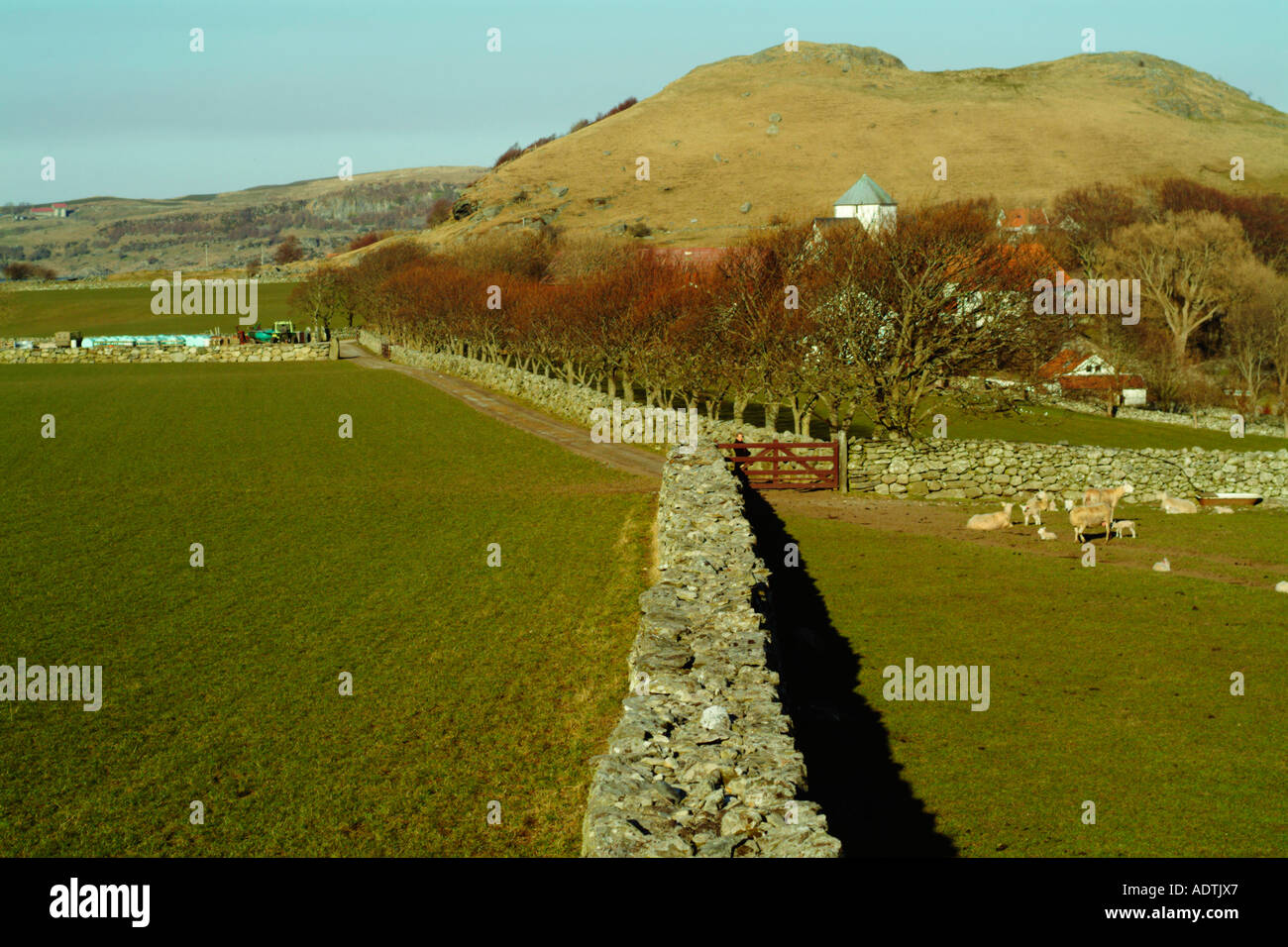 stone fence on farmland in the summer Stock Photo - Alamy
