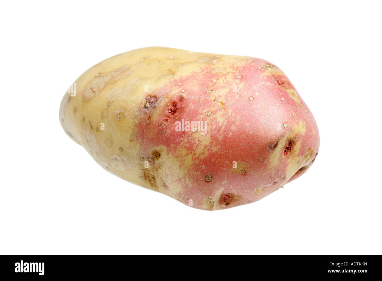 King Edward Potato Stock Photo - Alamy