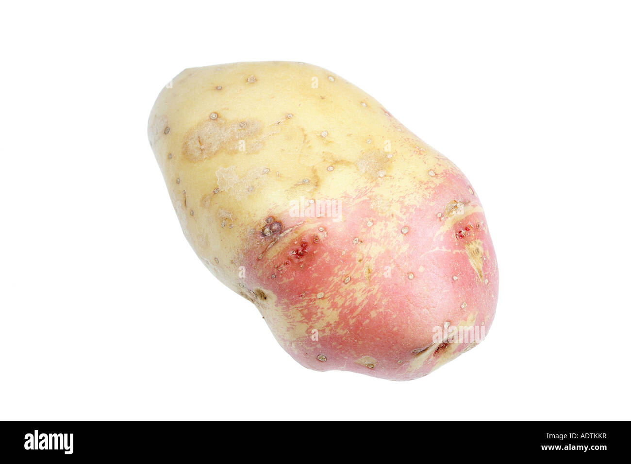 King Edward Potato Stock Photo - Alamy