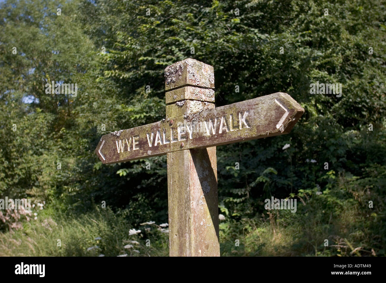 Wye Valley Walk Sign Chepstow Wales UK Stock Photo - Alamy