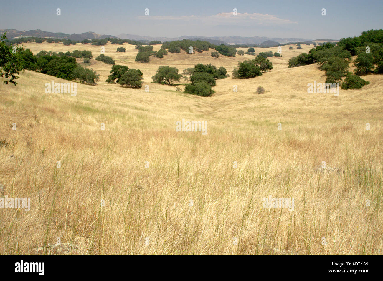 santa rosa plateau ecological reserve southern california usa Stock ...