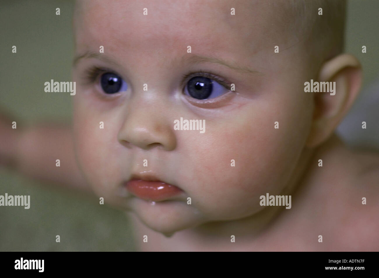 Baby hoods hi-res stock photography and images - Alamy