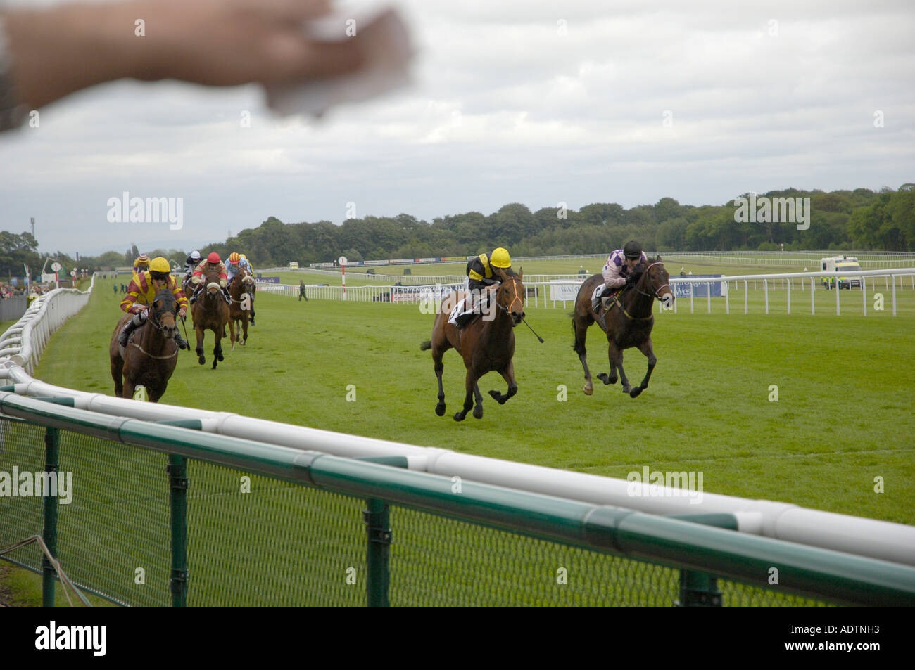 Racing for the Line Stock Photo - Alamy