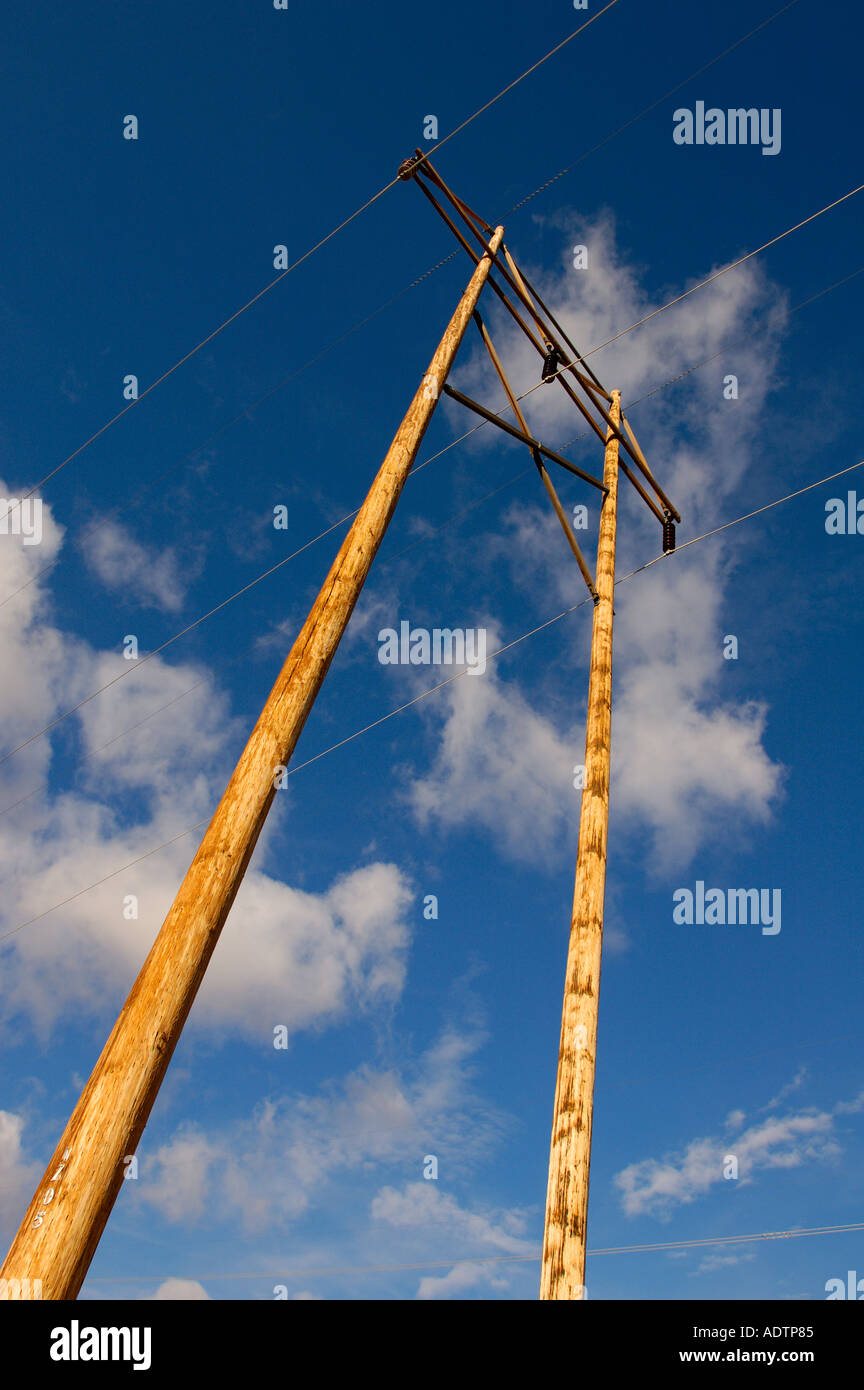 Telephone poles reaching up into the sky Stock Photo - Alamy