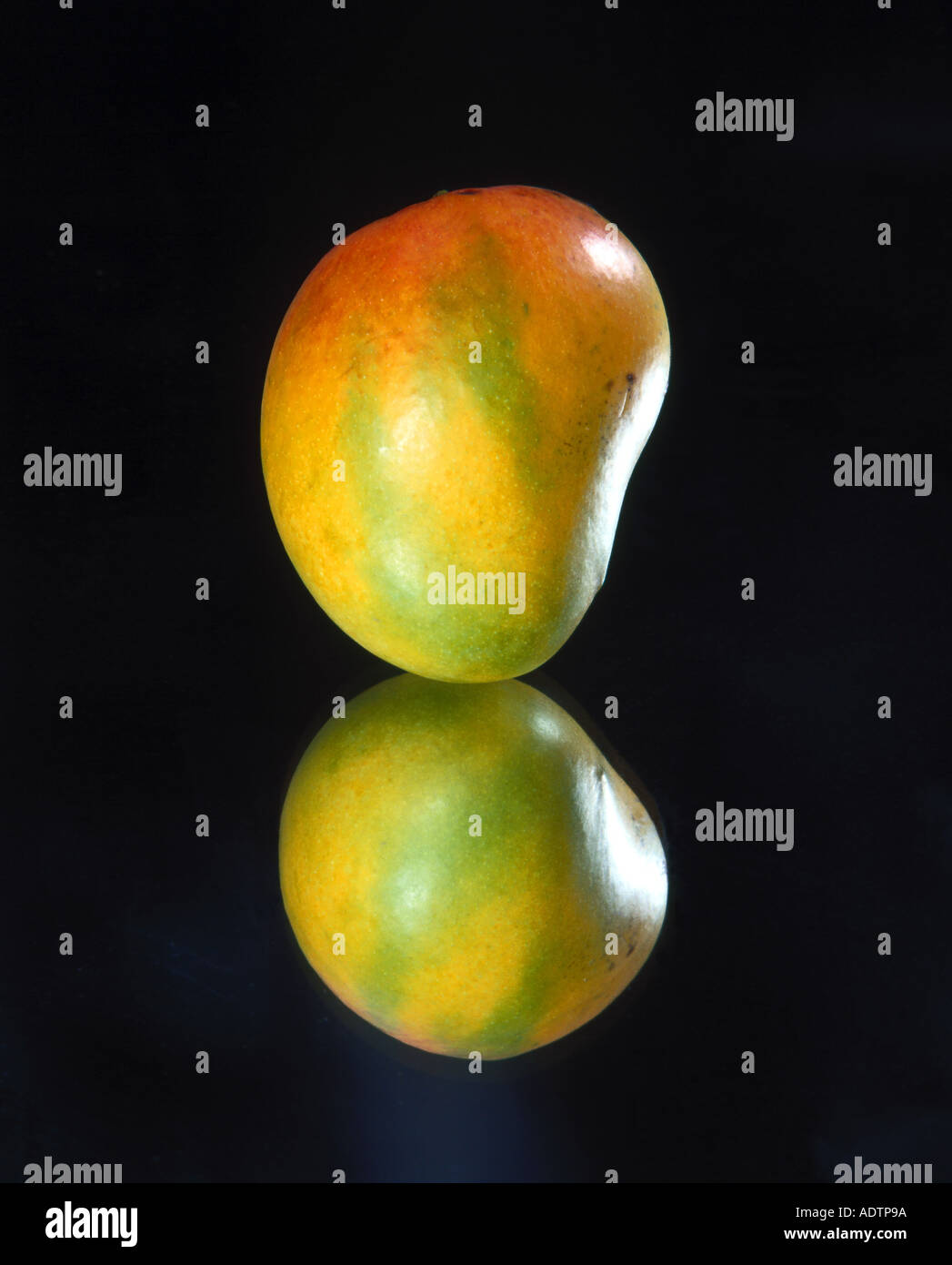 Mango still life Stock Photo - Alamy