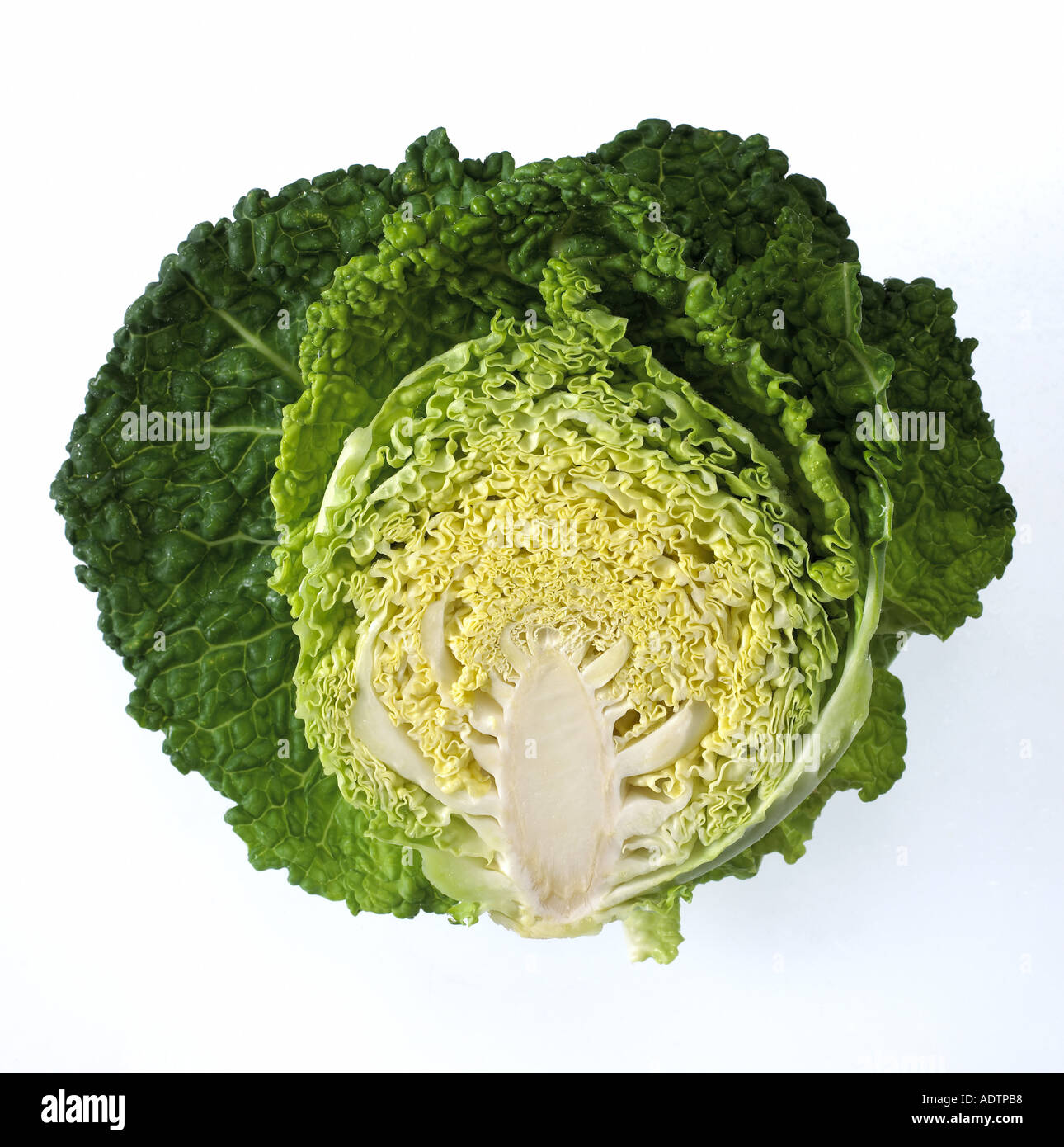 Savoy cabbage sliced in half Stock Photo - Alamy