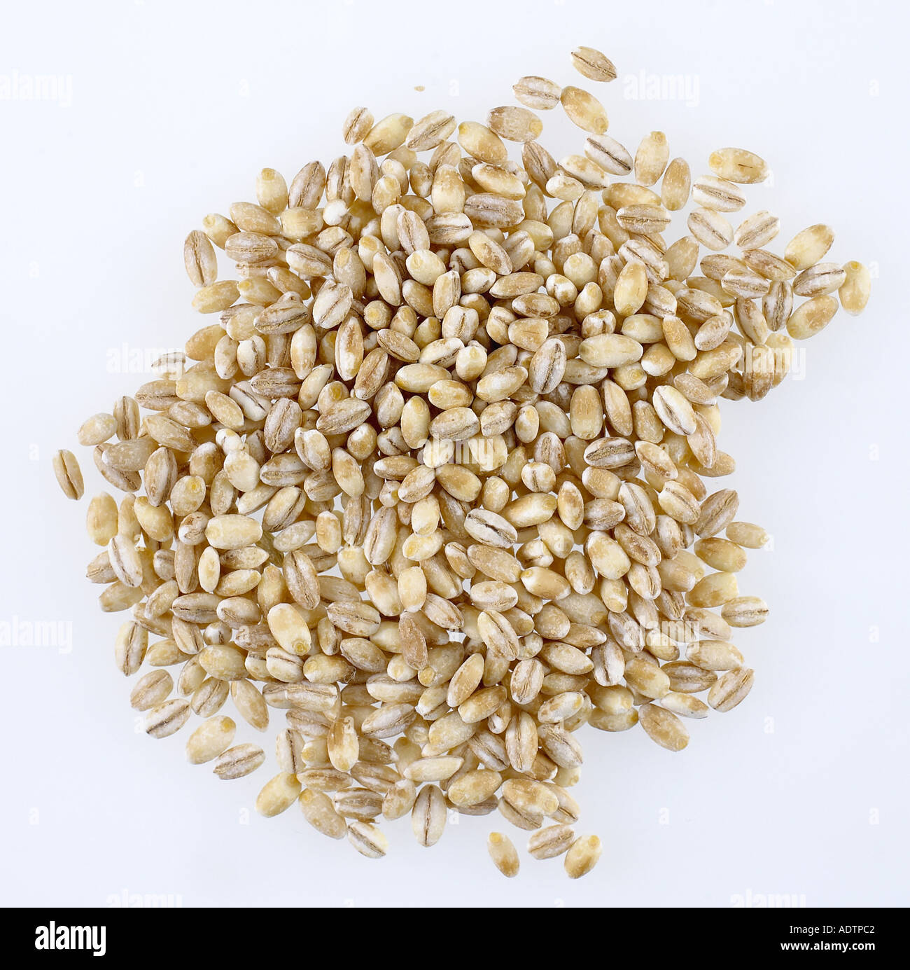 Base malt hi-res stock photography and images - Alamy