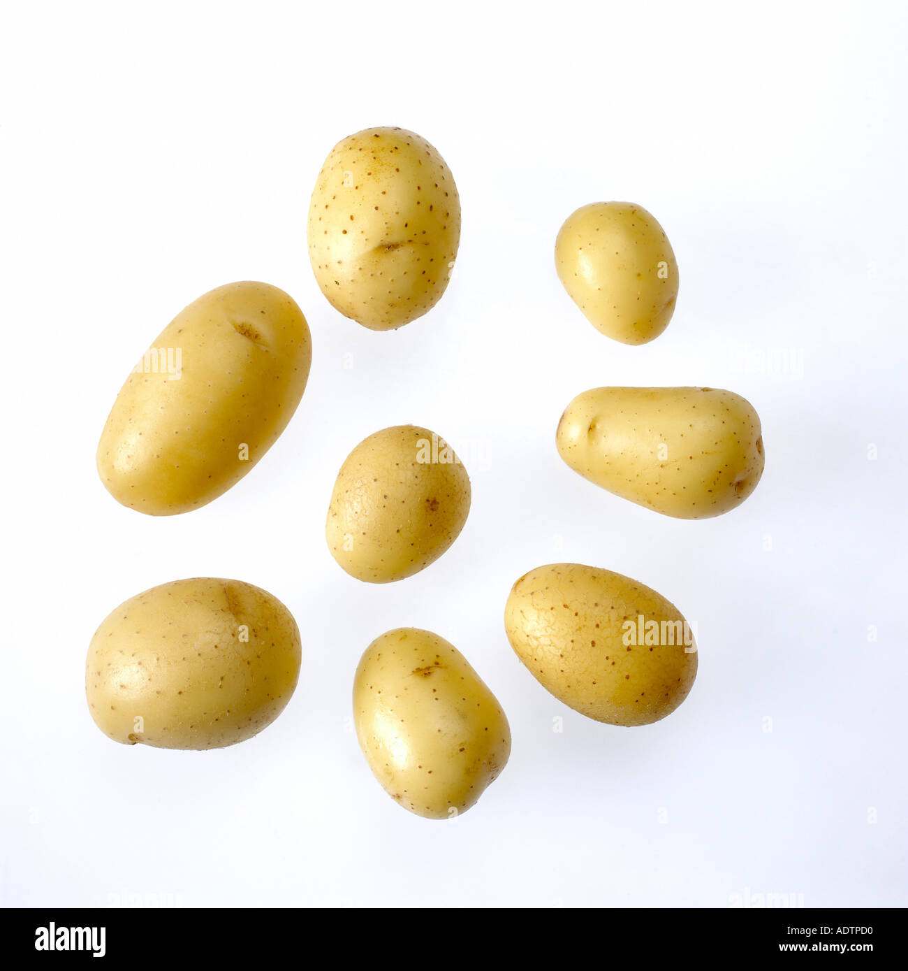 Whole white raw potatoes Stock Photo - Alamy