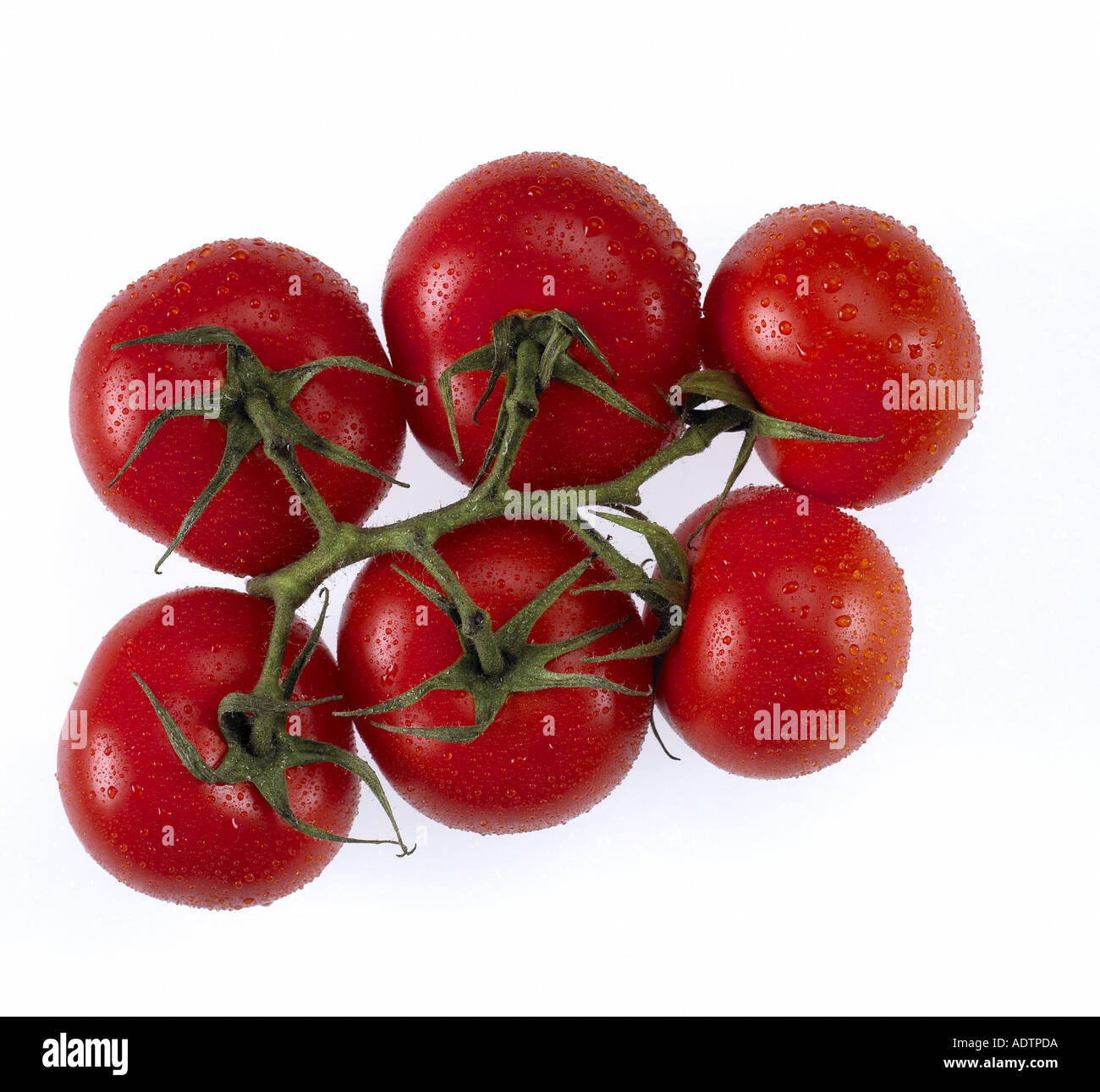 Six vine tomatoes Stock Photo - Alamy
