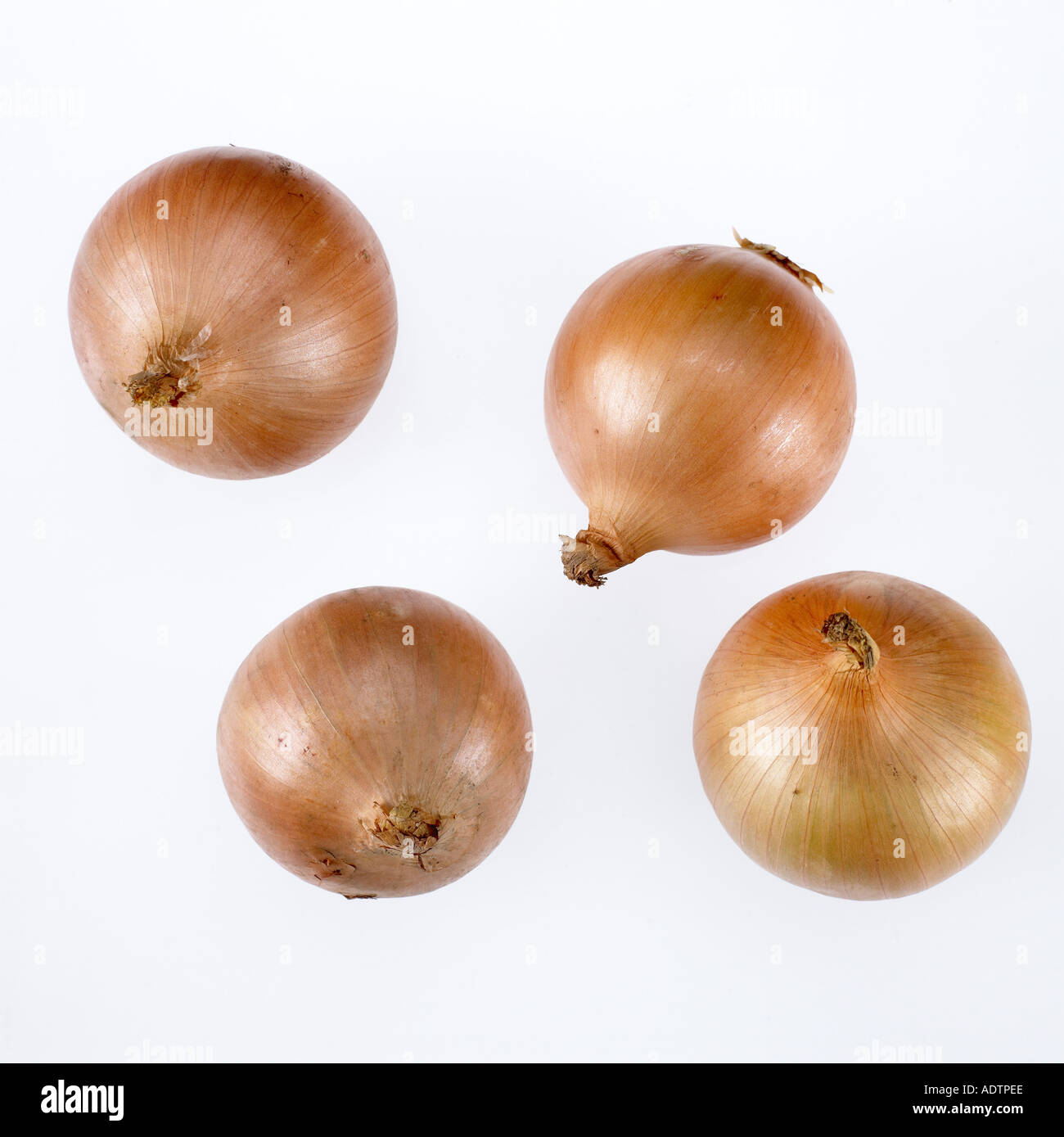 Four whole onions Stock Photo - Alamy