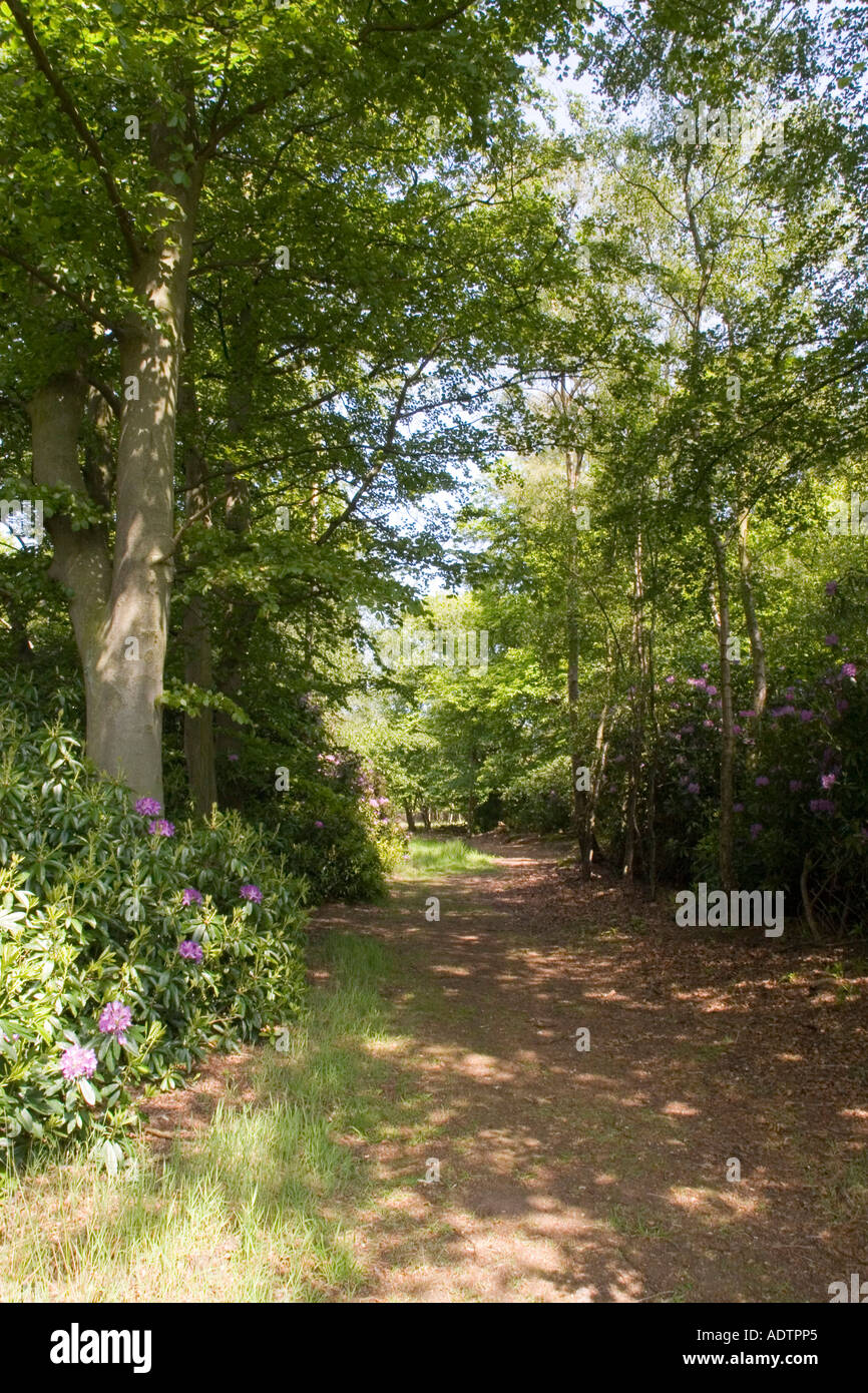 Suffolk wildlife hi-res stock photography and images - Alamy