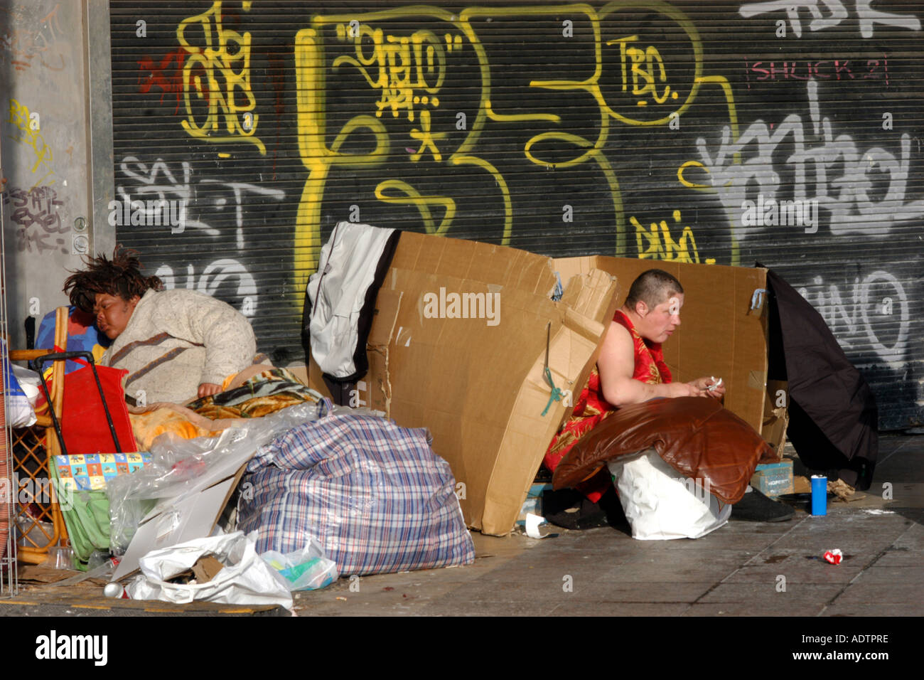 Cardboard House Homeless