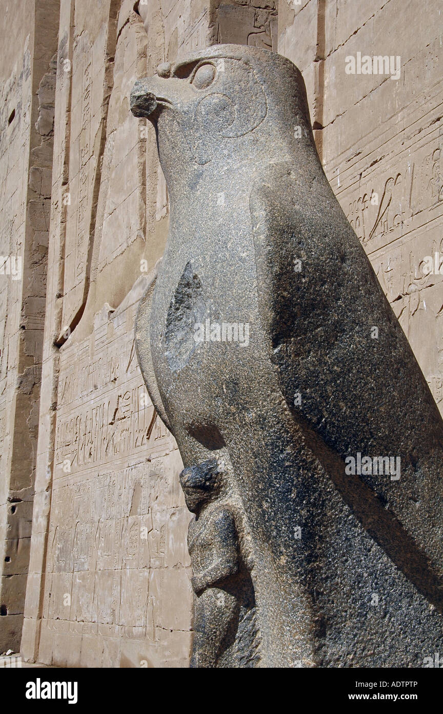 A falcon granite statue of Horus at the Hypostyle Hall in Edfu temple ...