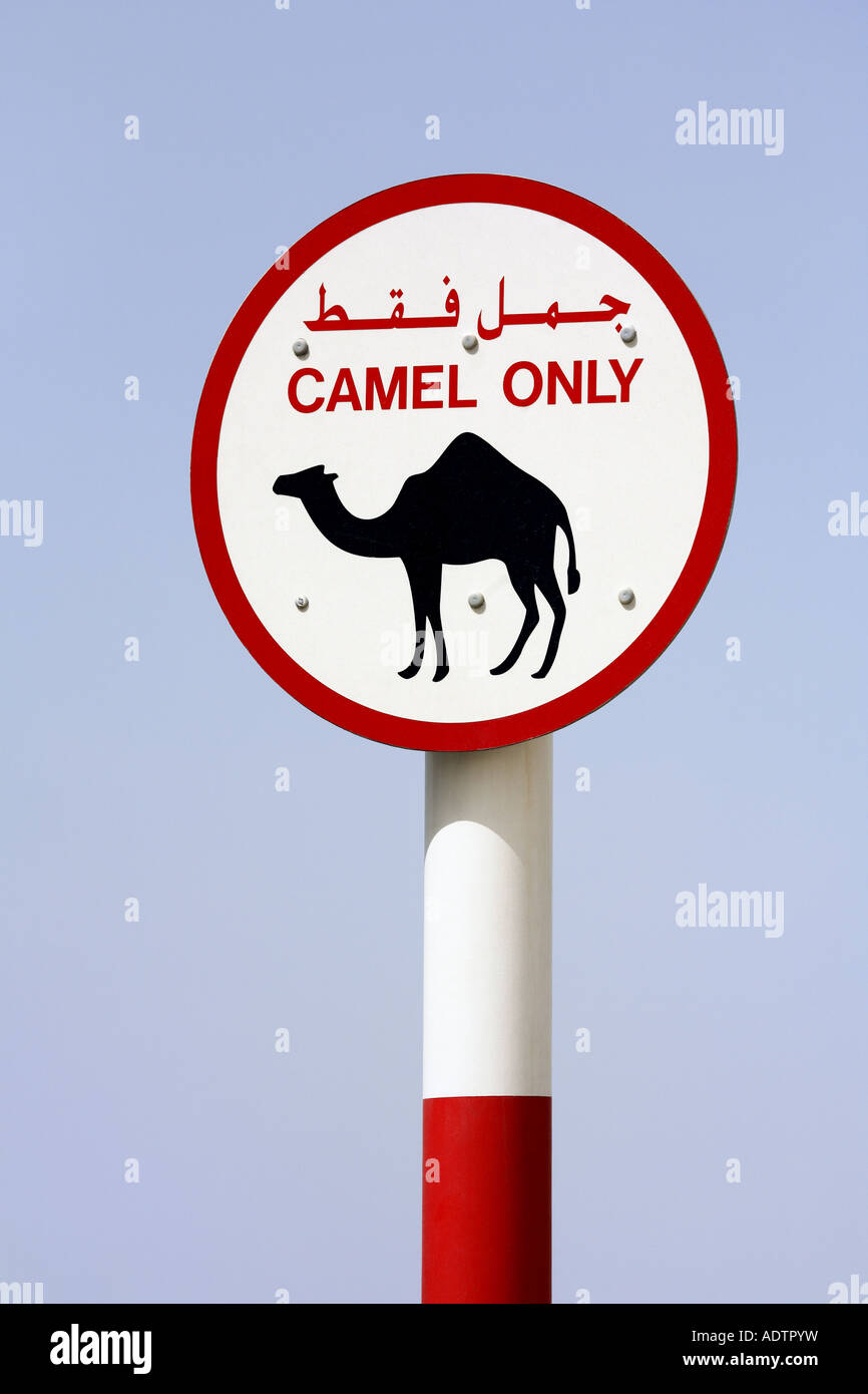 sign indicating way for camel only Stock Photo - Alamy