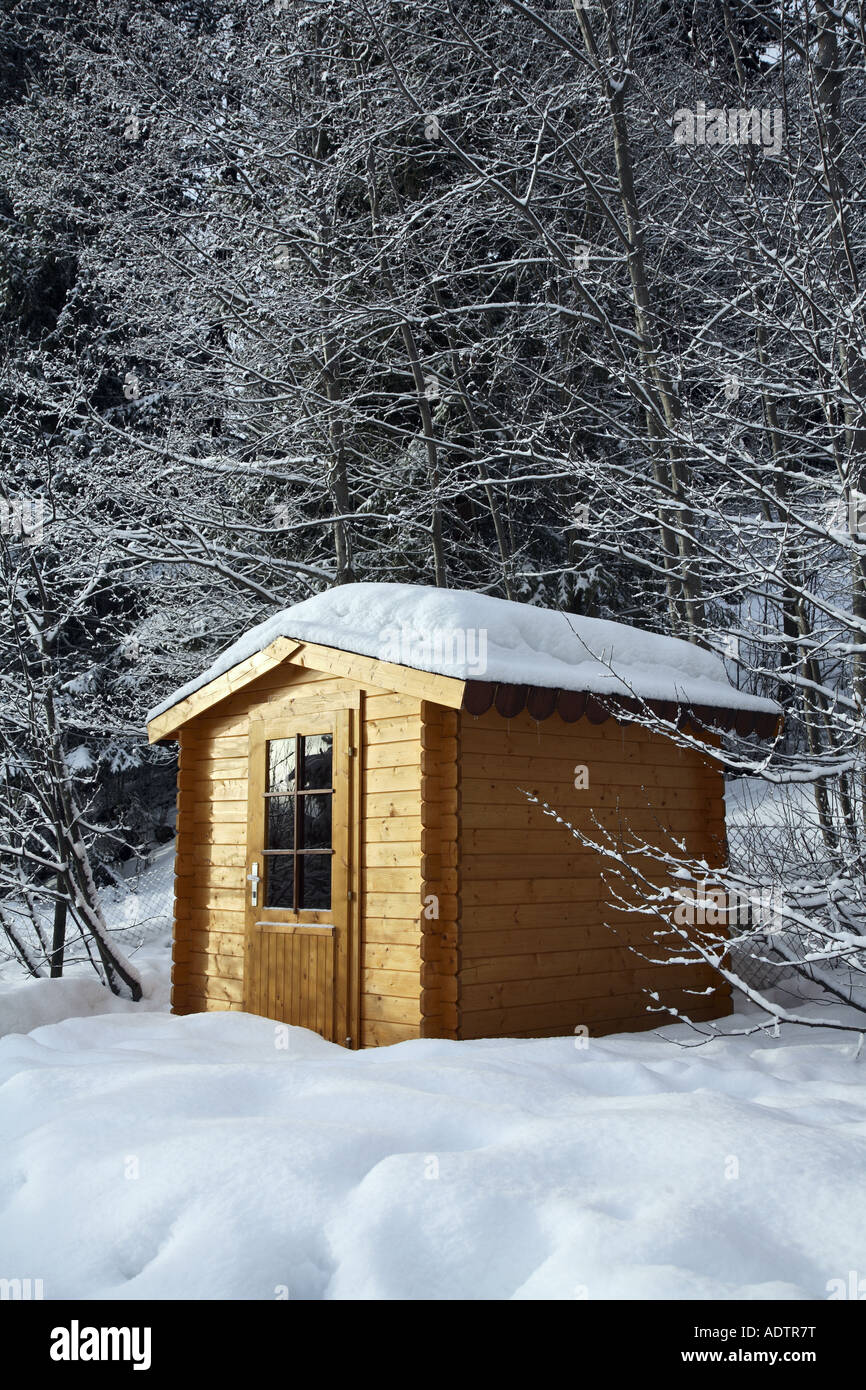 Fallen tree shed hi-res stock photography and images - Alamy