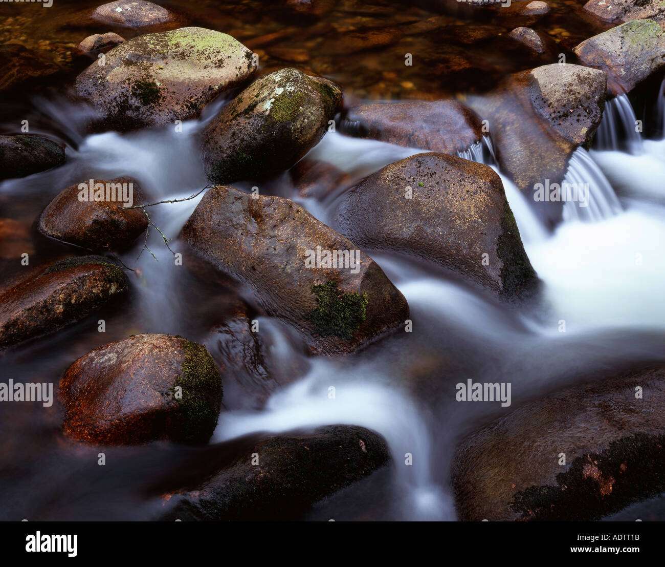 River Plym at Shaugh Prior Dartmoor Devon UK Stock Photo - Alamy