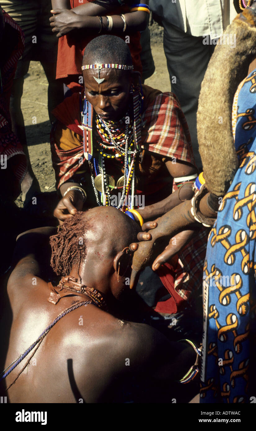 Kenya Masai warriors having head shaved by mother Eunoto ceremony Stock ...