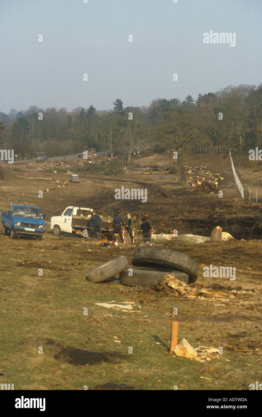 Destruction Habitat Woodland destruction workmen vehicles cut trees ...