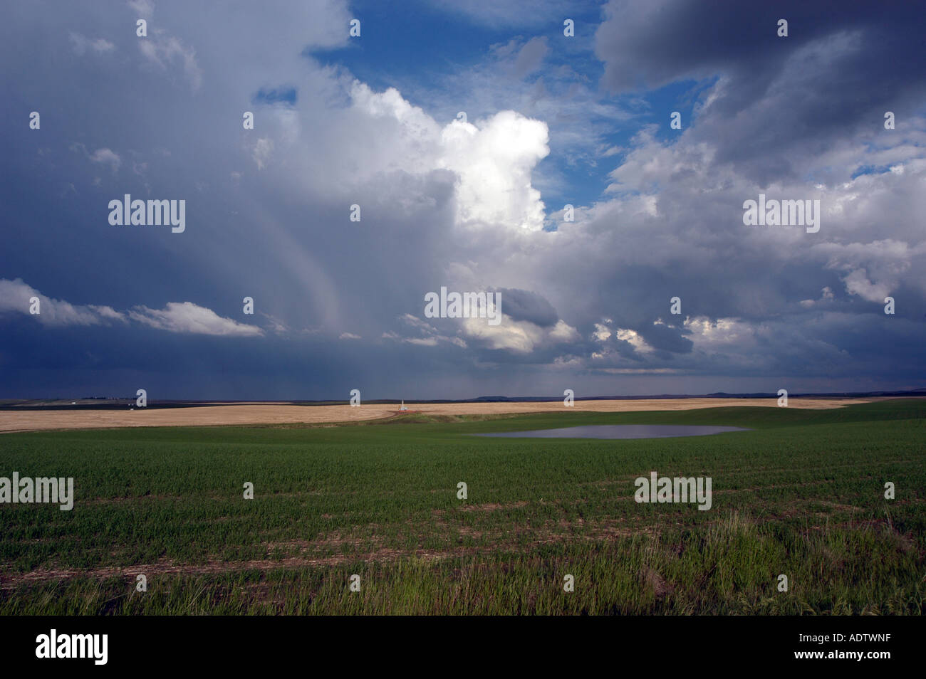 The last field hi-res stock photography and images - Alamy