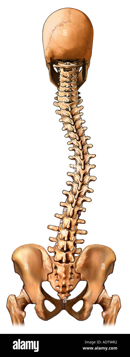 L4 s1 hi-res stock photography and images - Alamy