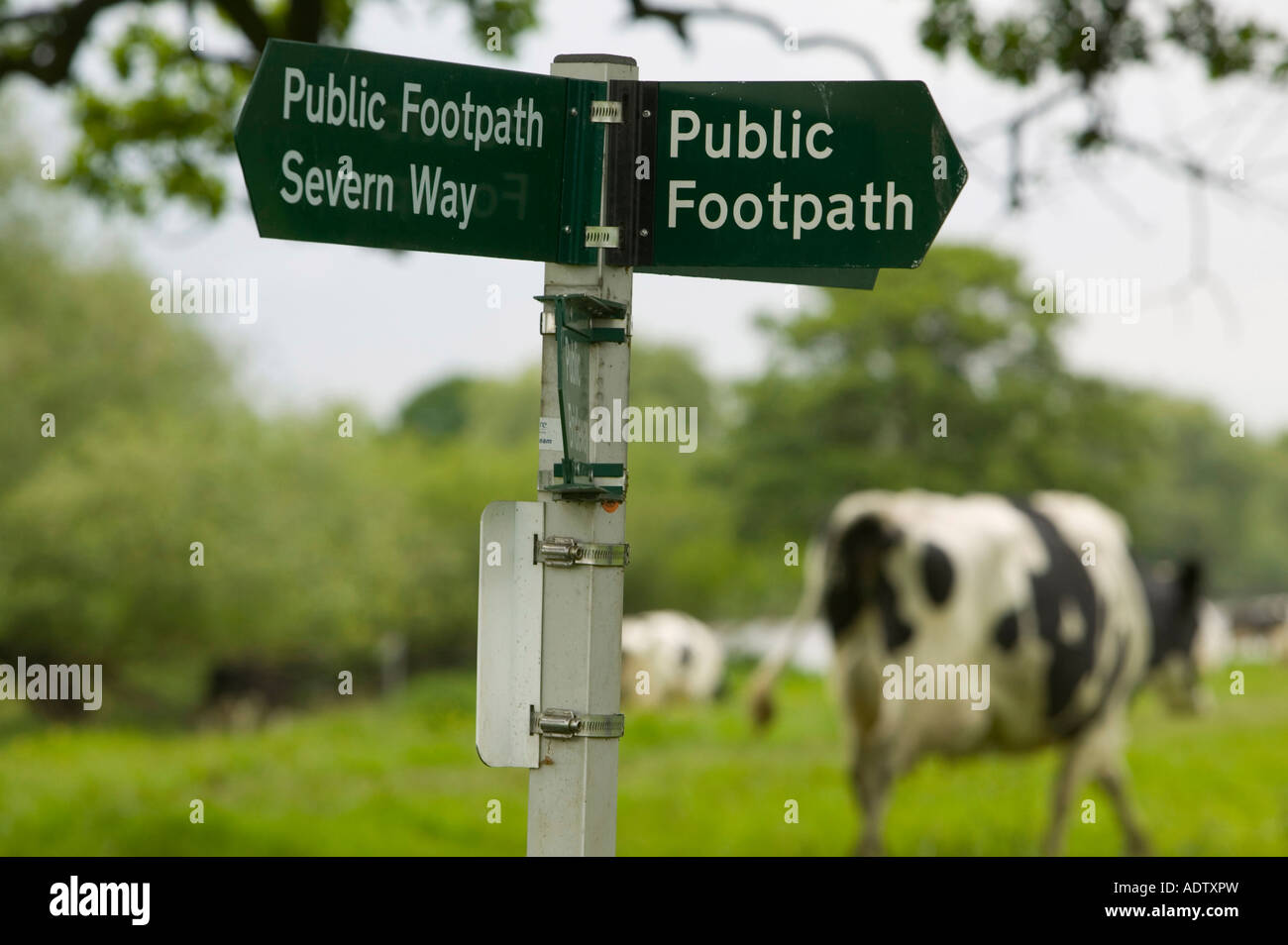 Severn way at tewkesbury hi-res stock photography and images - Alamy