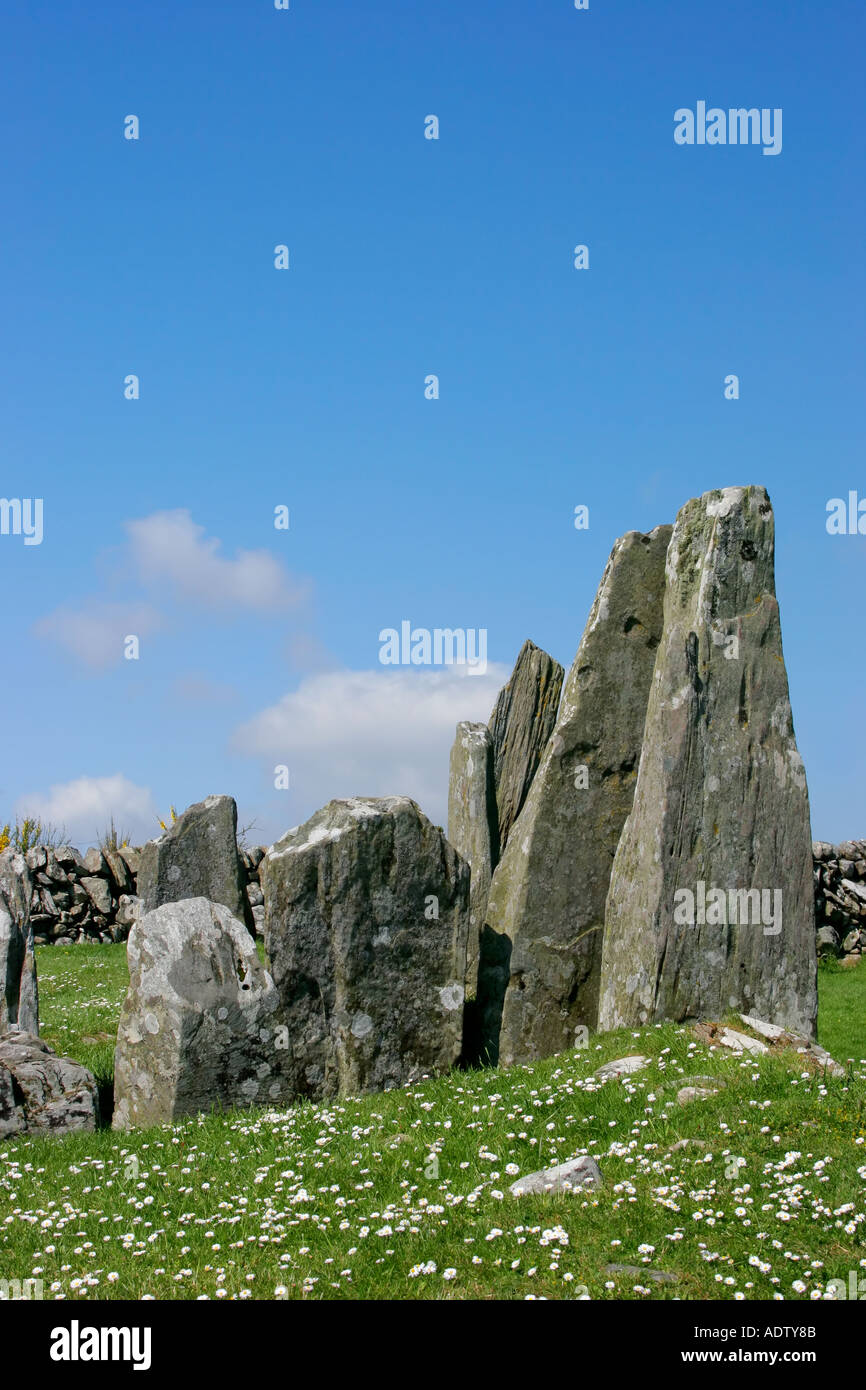 Standing stones above a chambered burial cairn or tomb at Cairnholy ...