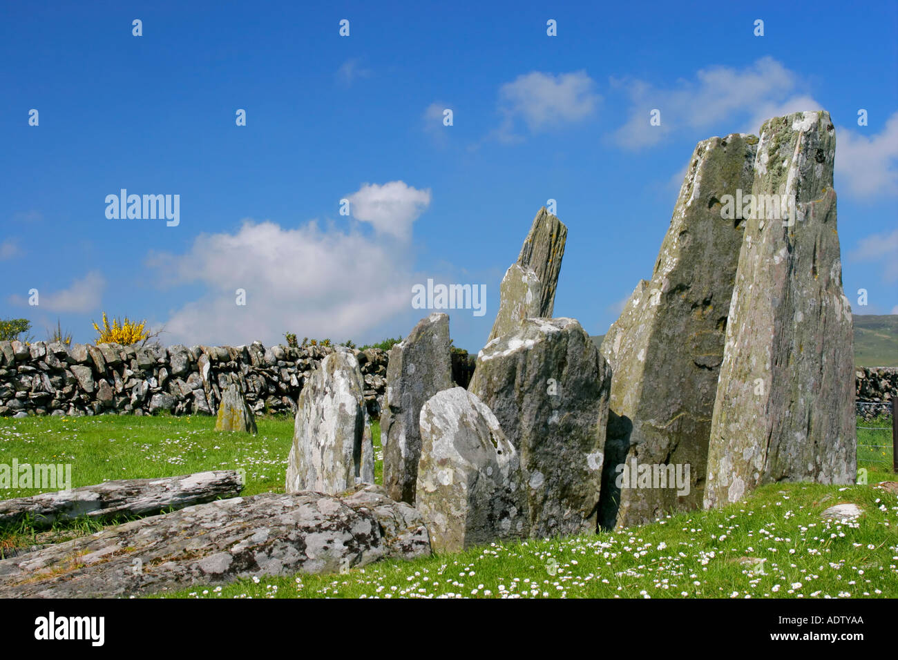 Standing stones above a chambered burial cairn or tomb at Cairnholy ...