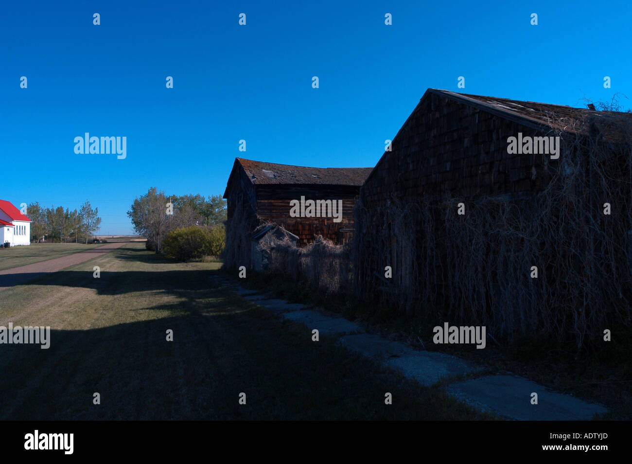 Road closed concrete blocks hi-res stock photography and images - Alamy