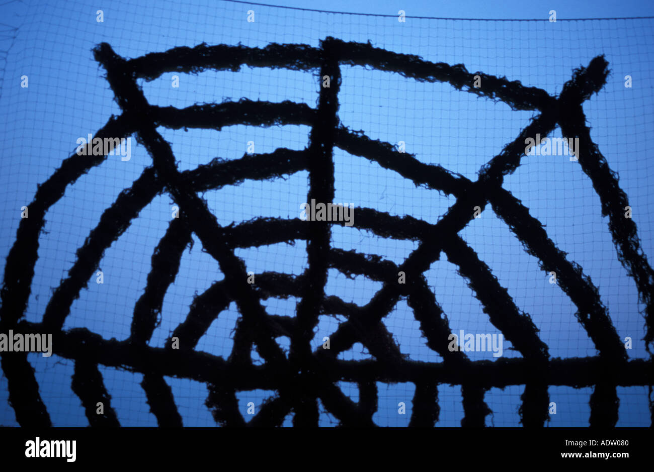 art object, spider net Stock Photo - Alamy