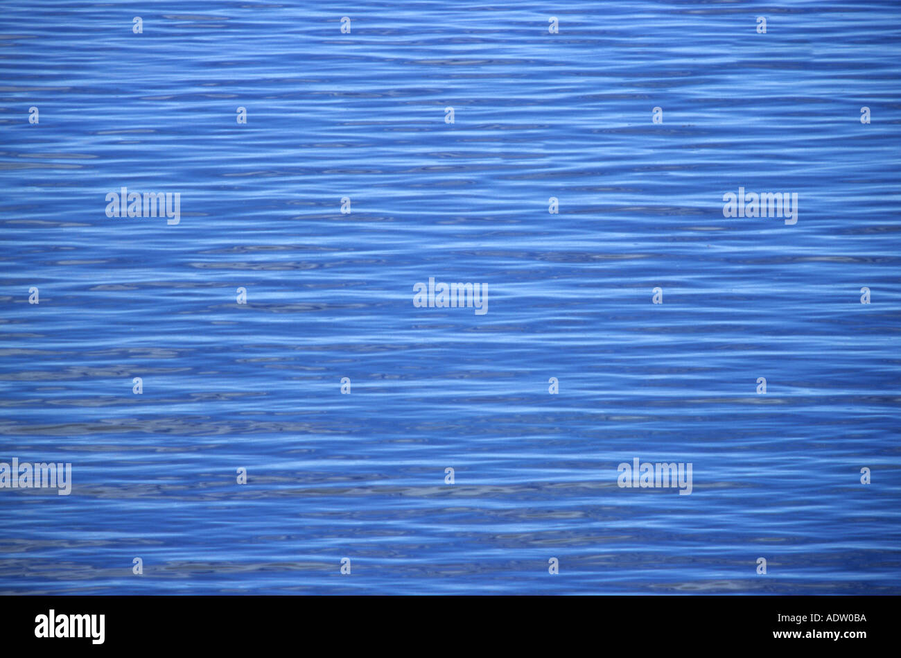 water ripples in the sea Stock Photo - Alamy