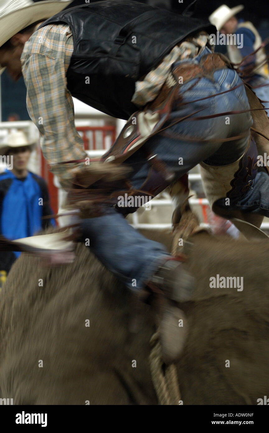 Bucked off cowboy hi-res stock photography and images - Alamy