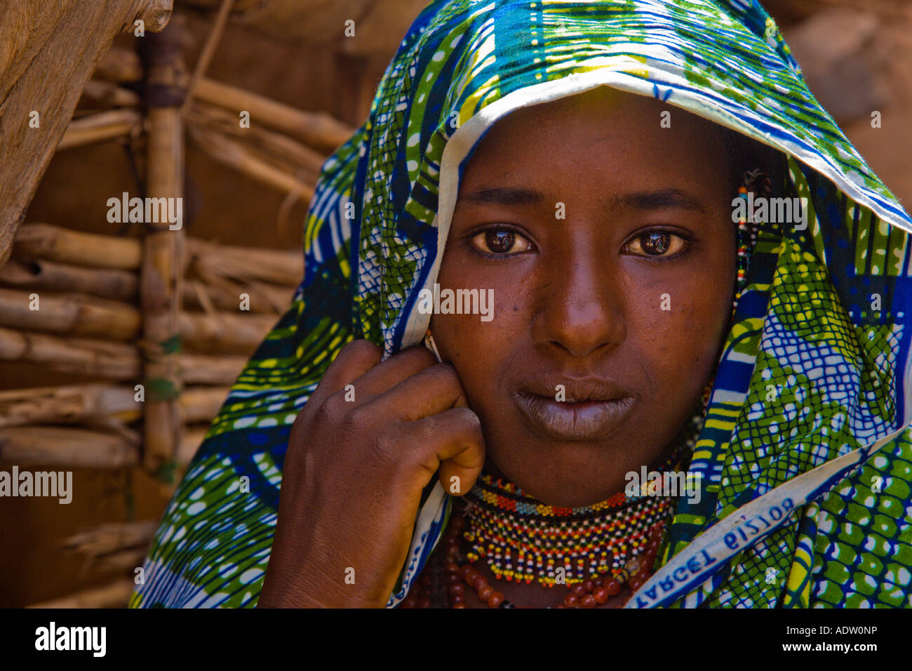 Fulani woman in Torodi, Niger Stock Photo - Alamy