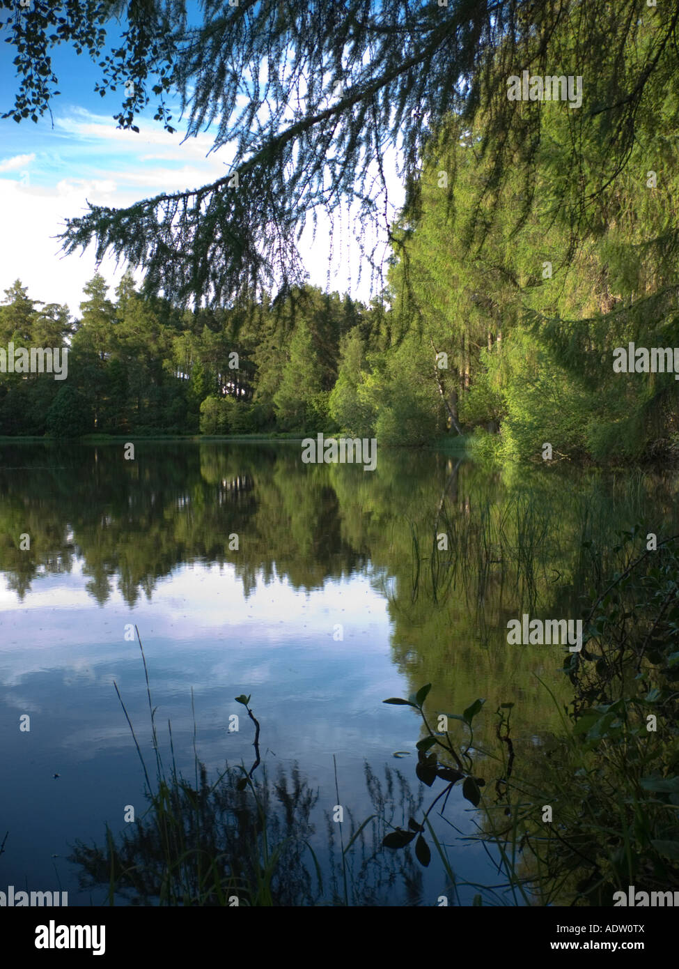 Imrich hi-res stock photography and images - Alamy