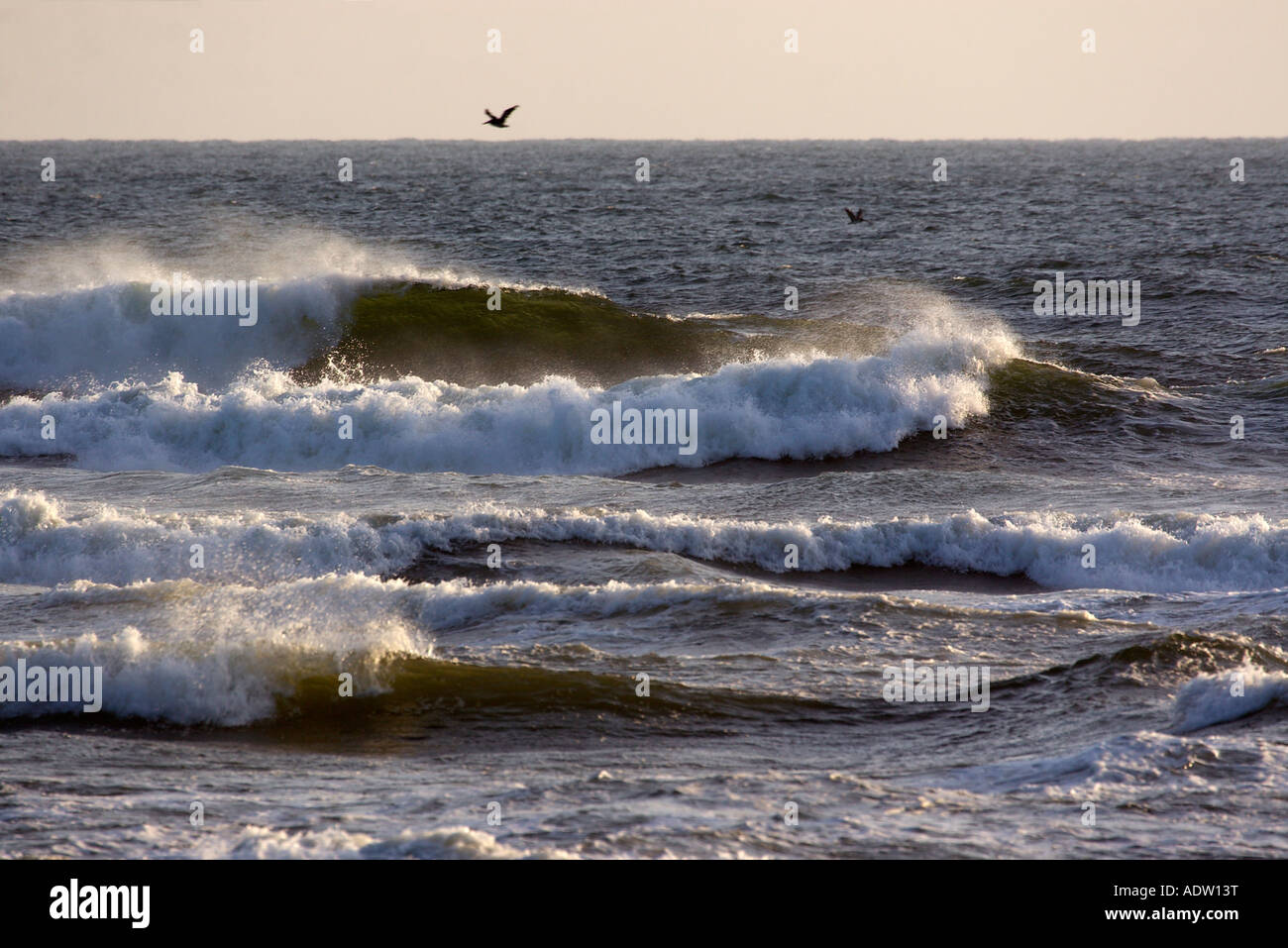 Waves on the Pacific Ocean in the late afternoon with the wind blowing ...