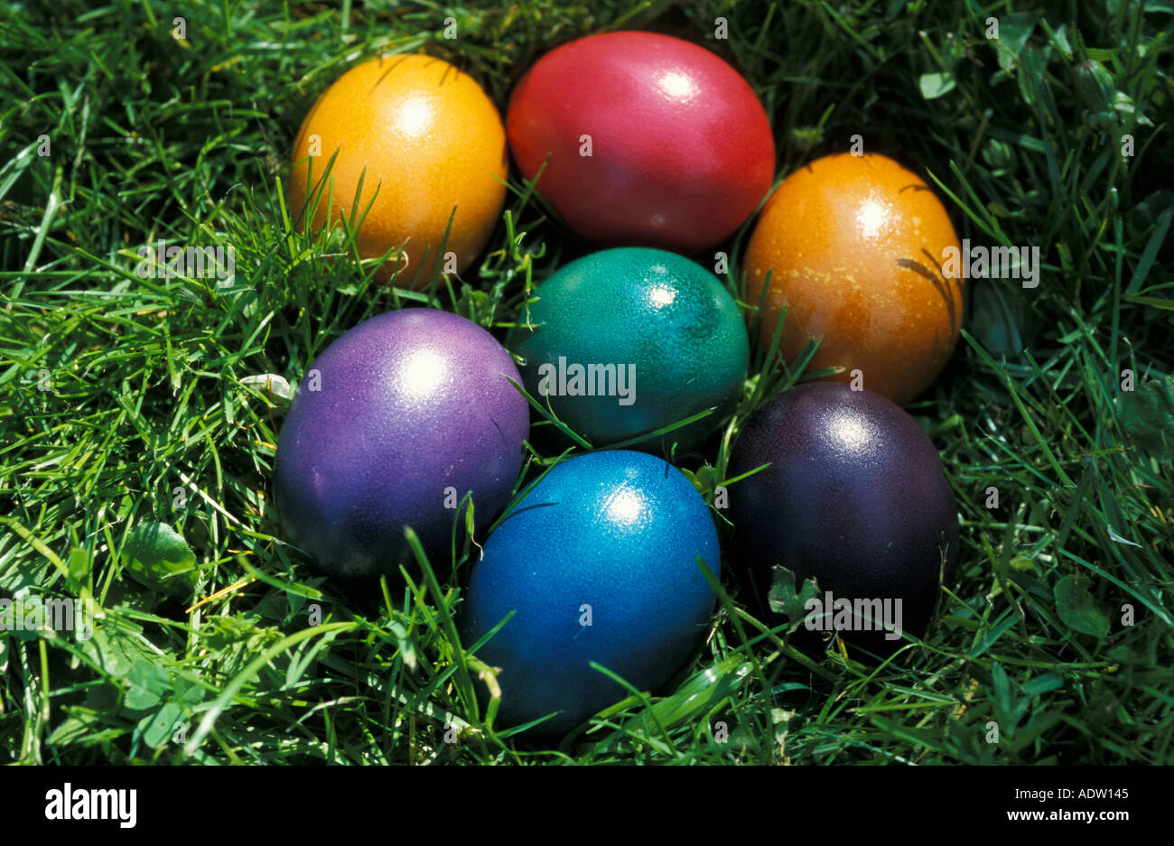 easter eggs in green grass Stock Photo - Alamy