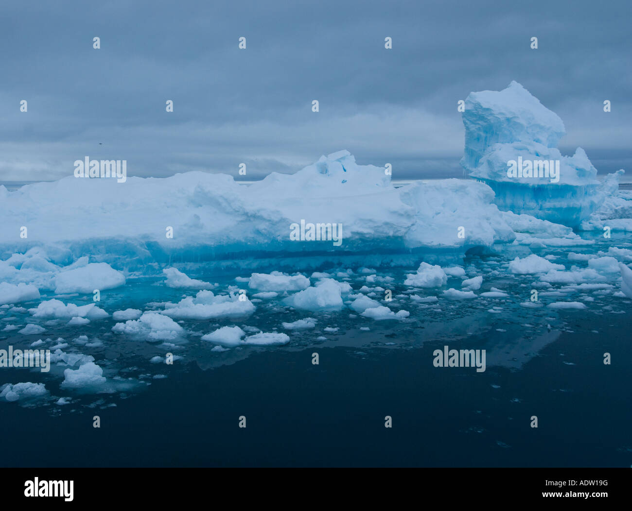 Melting ice drifting in the pack may take years to fully melt. Called ...