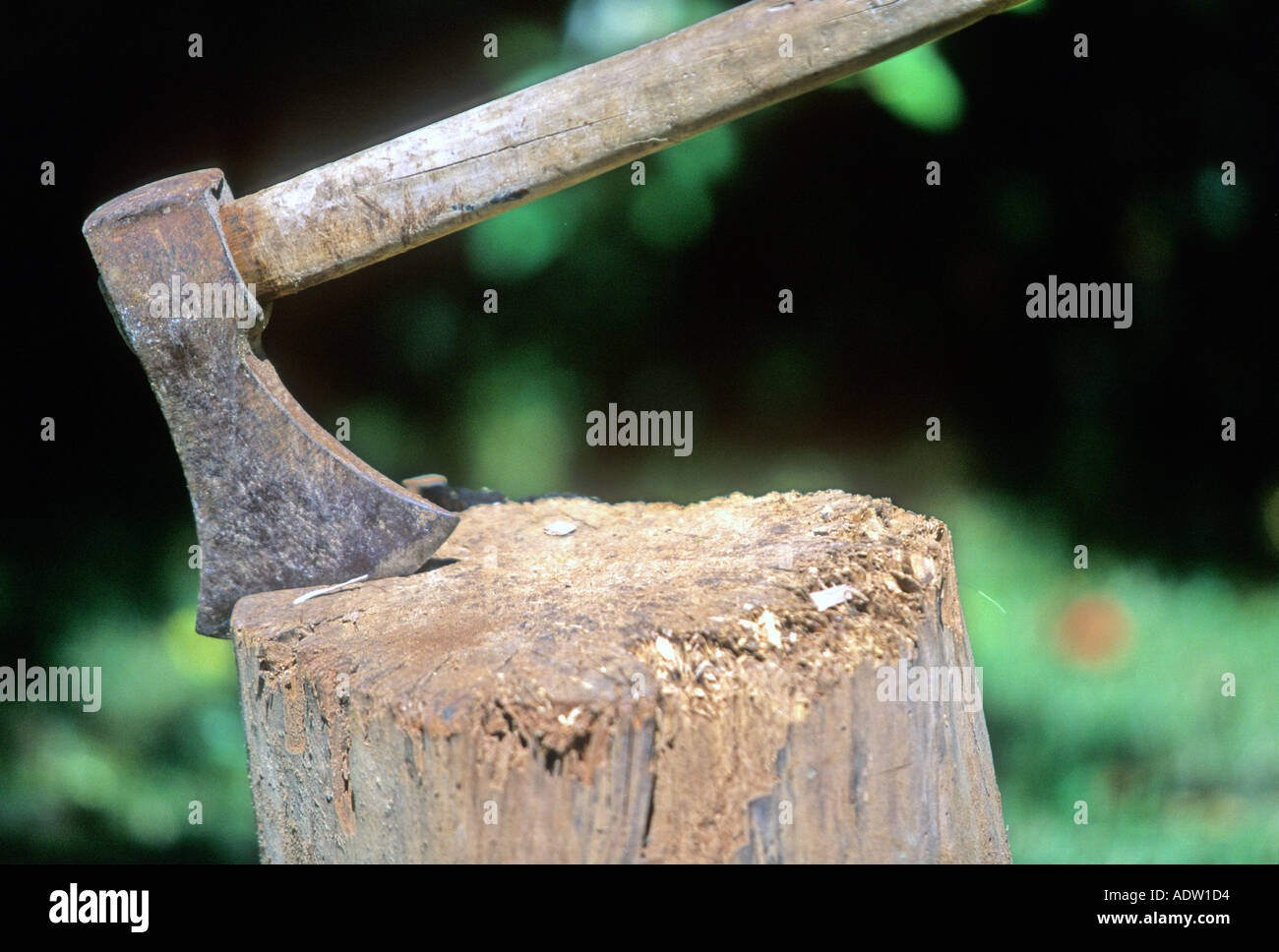 Copper ax hi-res stock photography and images - Alamy