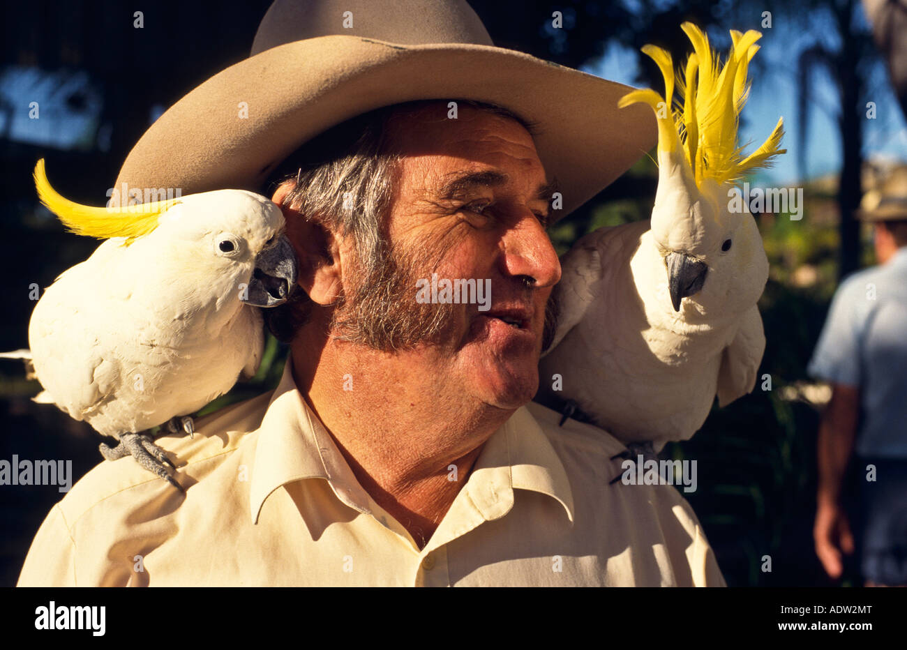 Man and pet cockatoos Australia Stock Photo - Alamy
